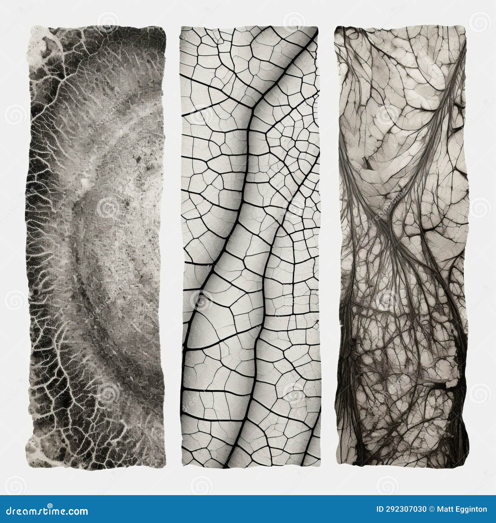 A Triptych of Diverse Drawings in Various Dimensions and Forms Stock ...