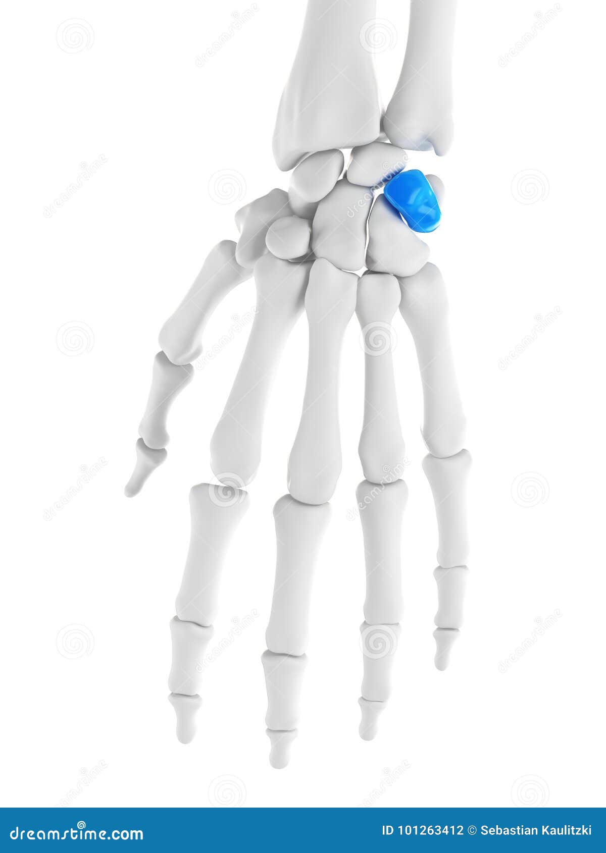 Triquetrum 库存例证. 插画 包括有 蓝色, 传记, 指责, 带状闪长岩, 密集队, 图象, 重新包装 - 101263412