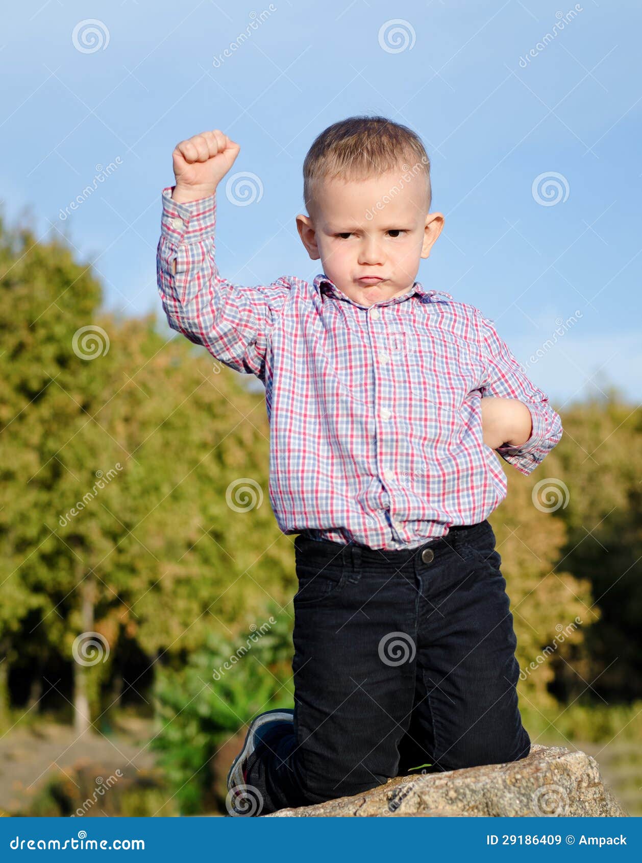 Triumphant little boy stock image. Image of outdoors - 29186409
