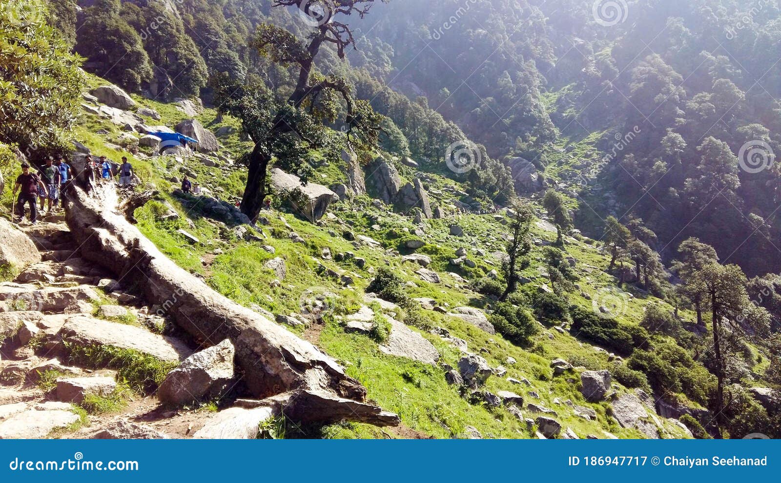 Triund Mountain is a Small Hill Station in the Kangra District in the ...
