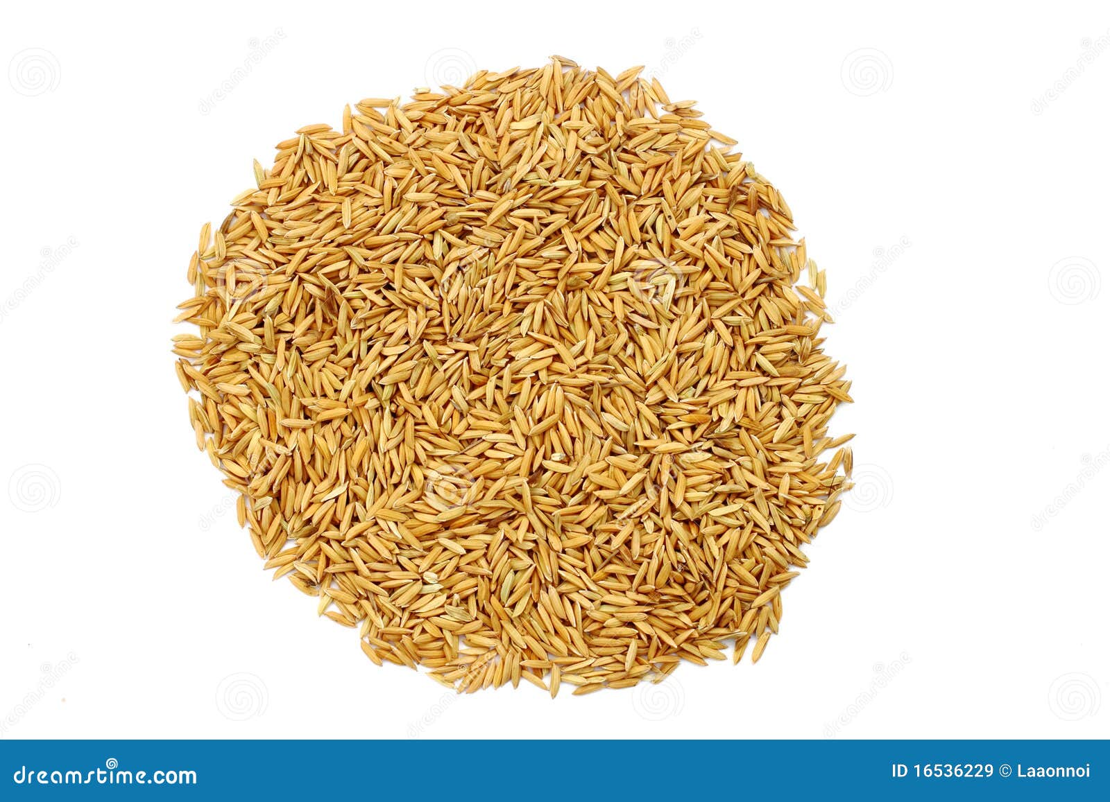 Trockener Reis stockbild. Bild von stapel, getreide, faser - 16536229