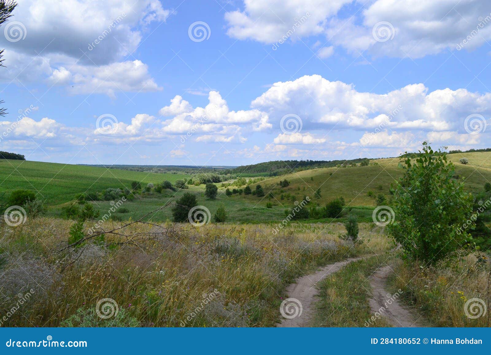 Trodden Path into the Forest Stock Photo - Image of green, soil: 284180652