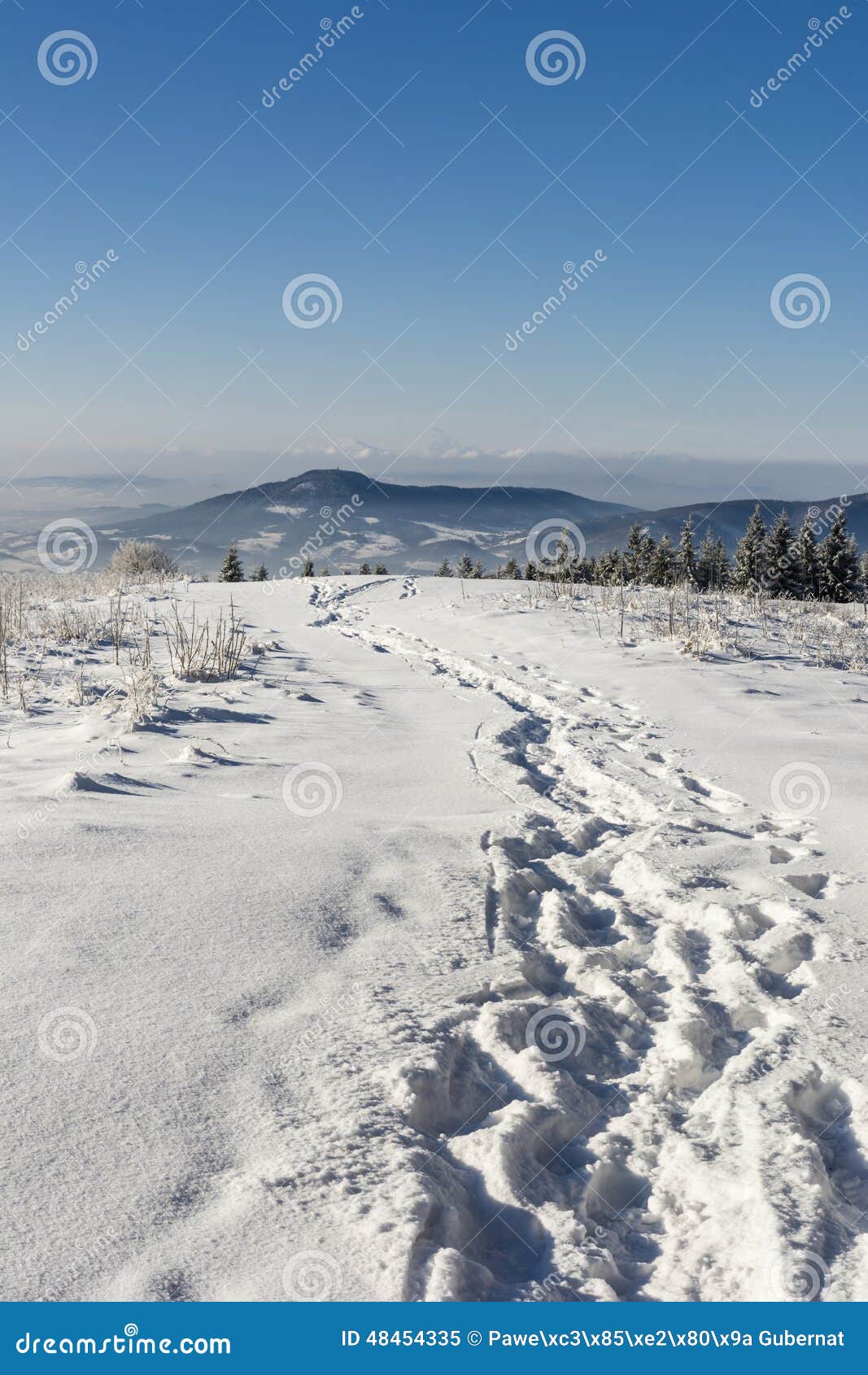 Trodden path in the snow stock image. Image of prairie - 48454335