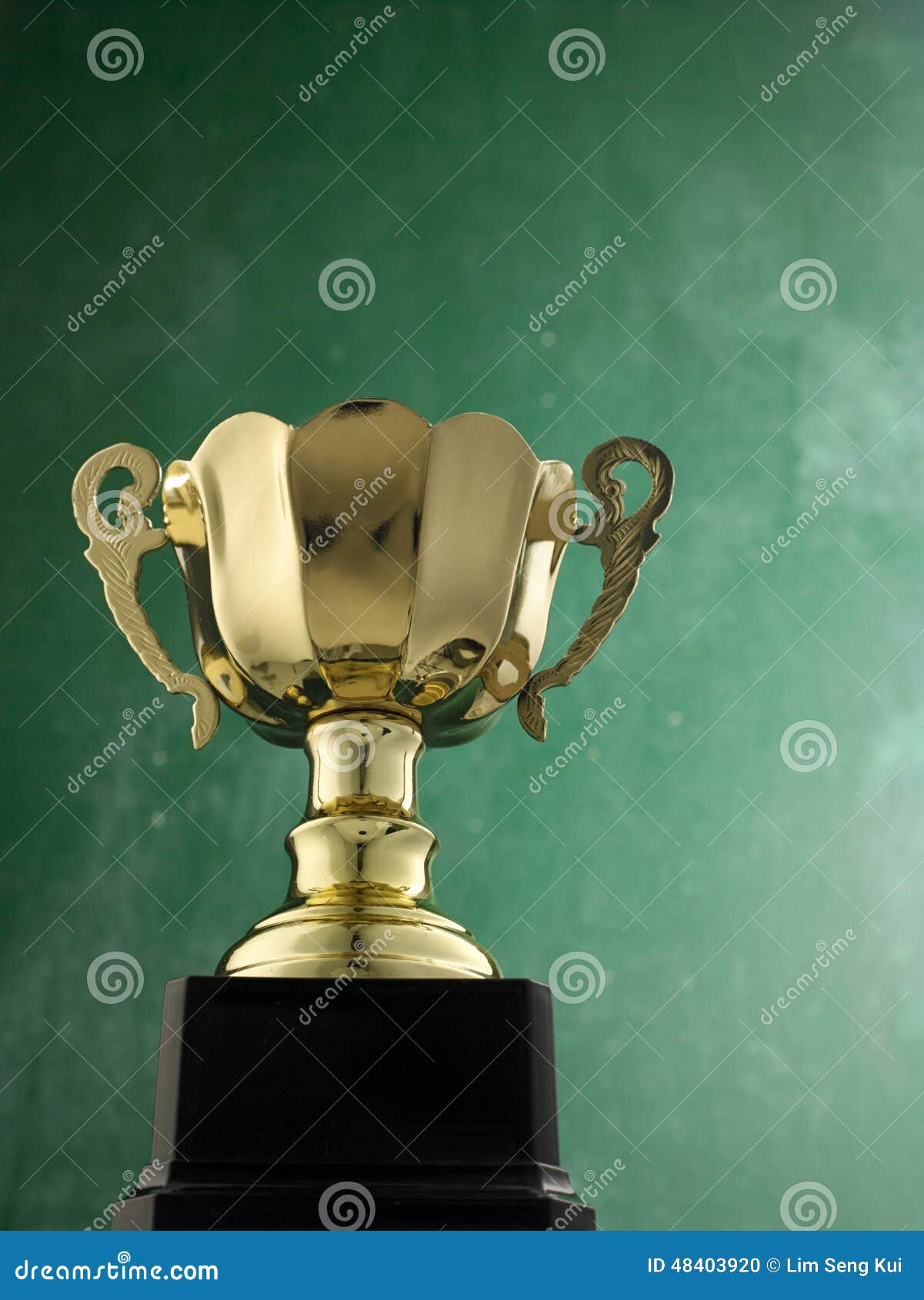 Trofee stock foto. Image of één, gouden, viering, succes - 48403920