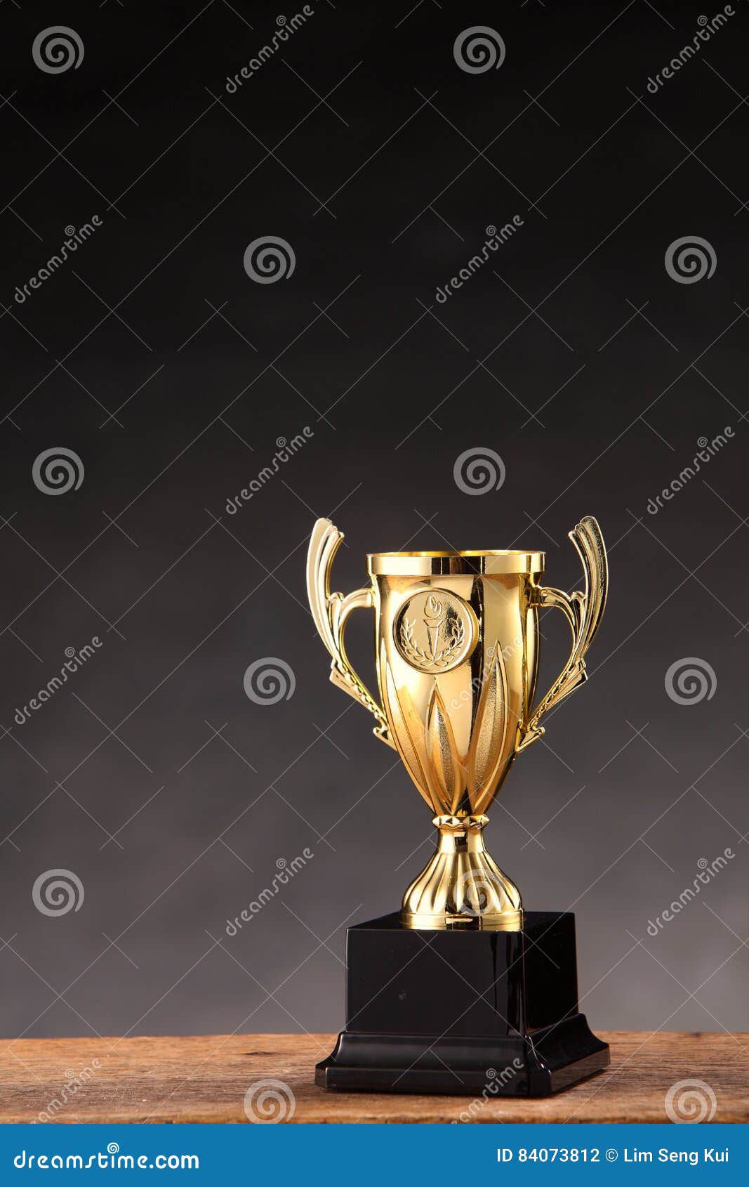 Trofeo fotografia stock. Immagine di cerimonia, lucido - 84073812