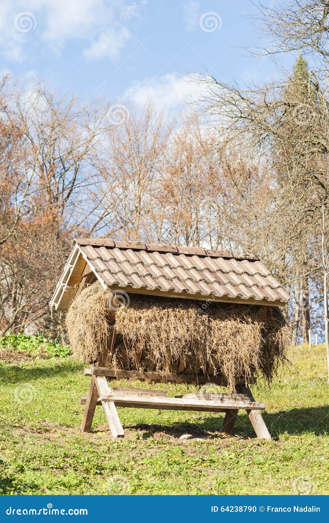 Trog met hooi stock foto. Image of gebied, nave, buiten - 64238790