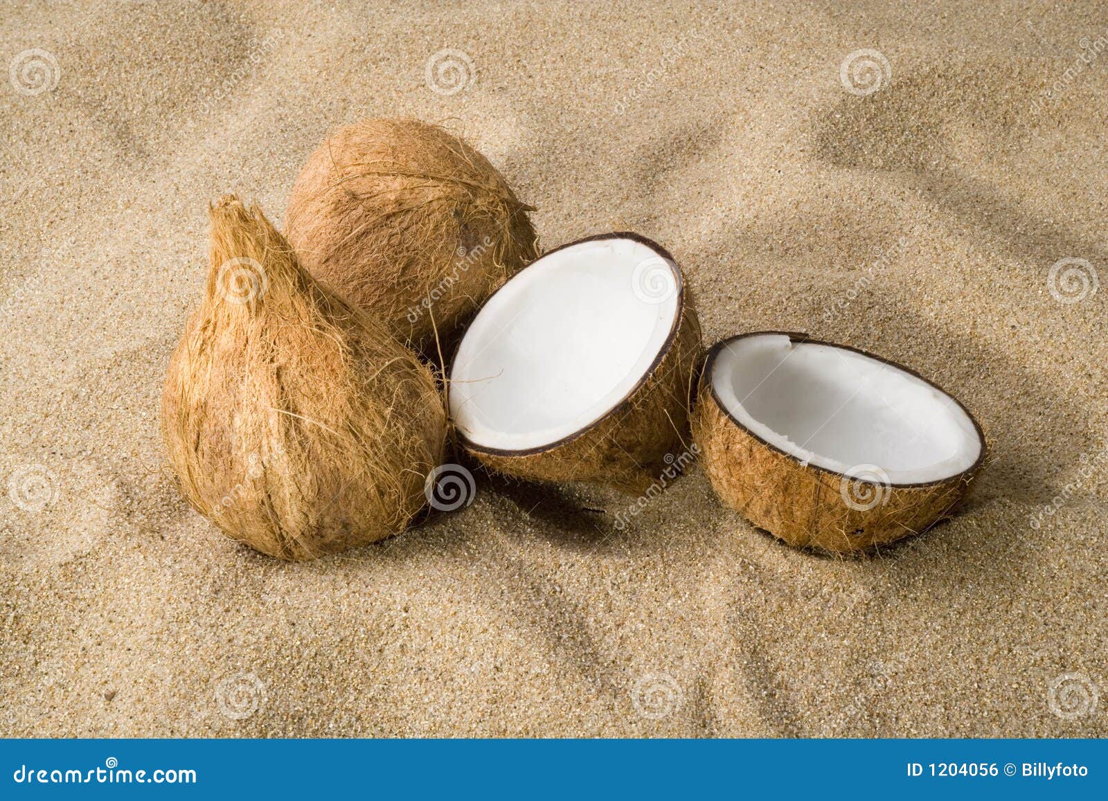 Trois Noix De Coco Sur Le Sable Photo stock - Image du paume, lait: 1204056