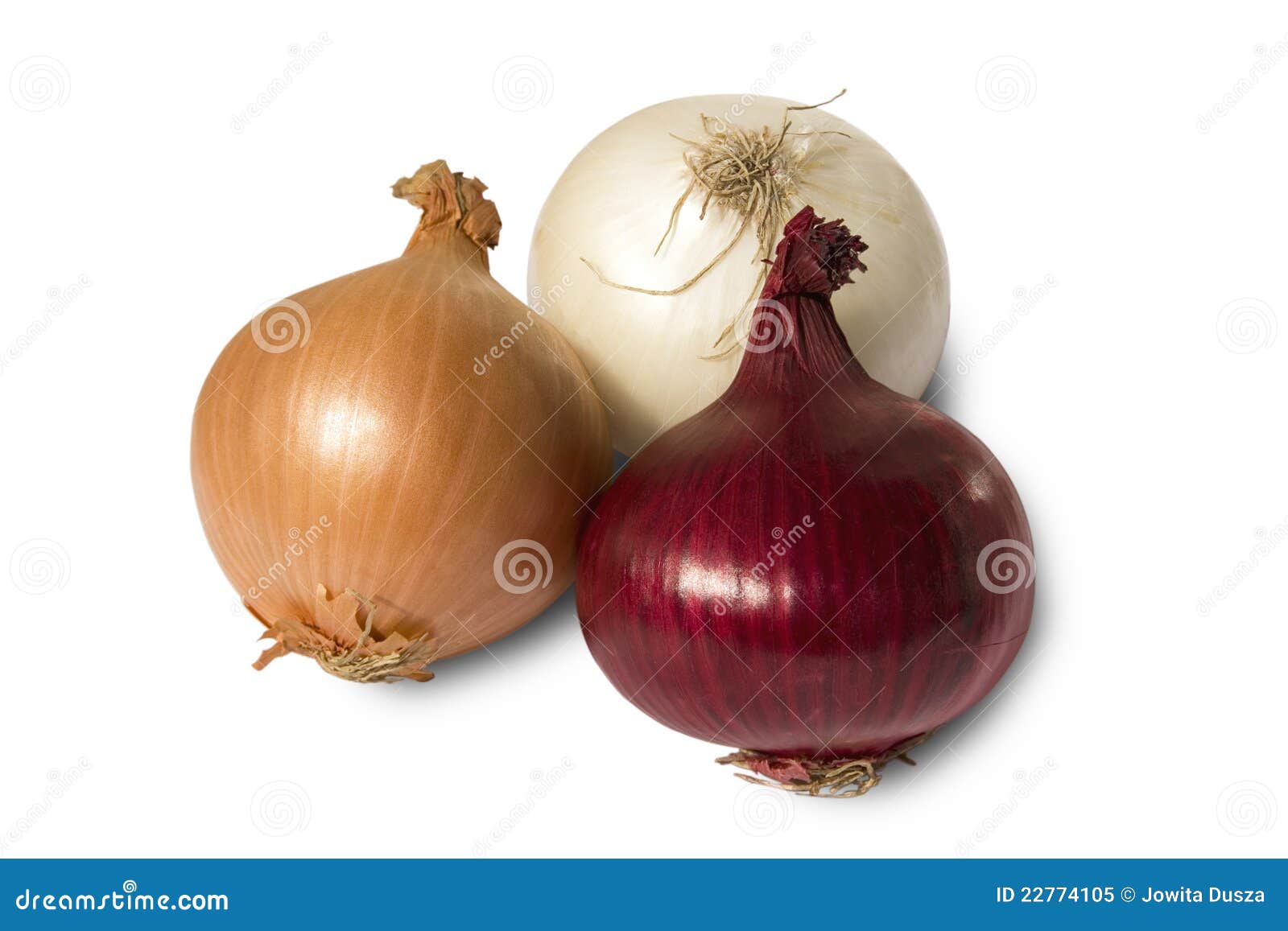 Trois oignons image stock. Image du blanc, frais, oignons - 22774105