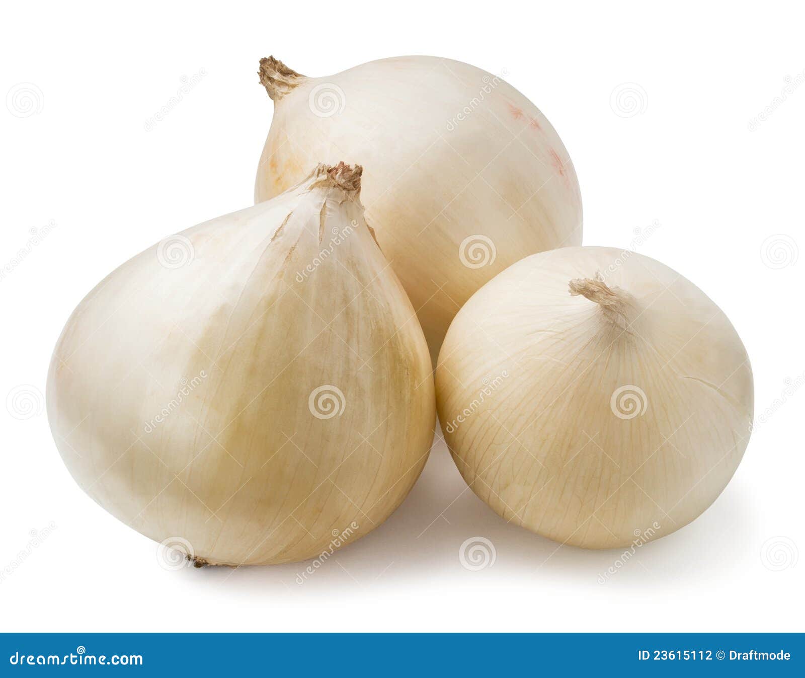 Trois oignons blancs photo stock. Image du oignon, blanc - 23615112