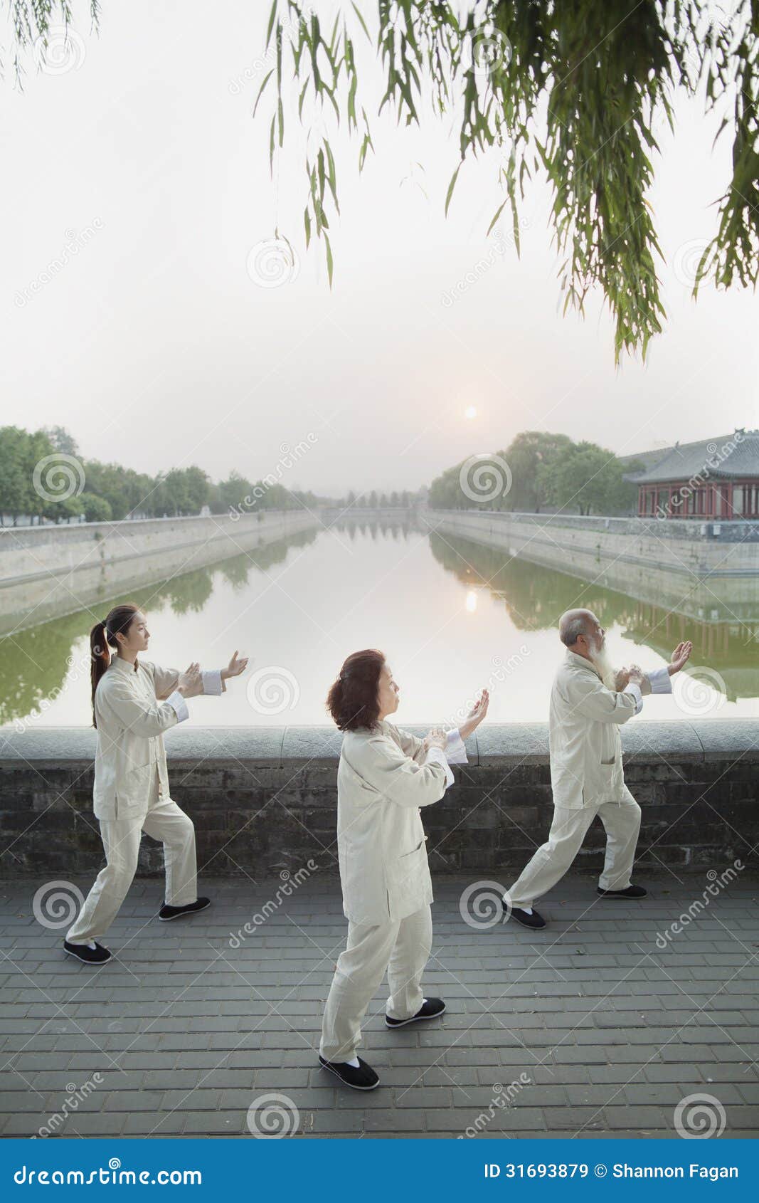 Trois Peuples Chinois Pratiquant Tai Ji Image stock - Image du couleur ...