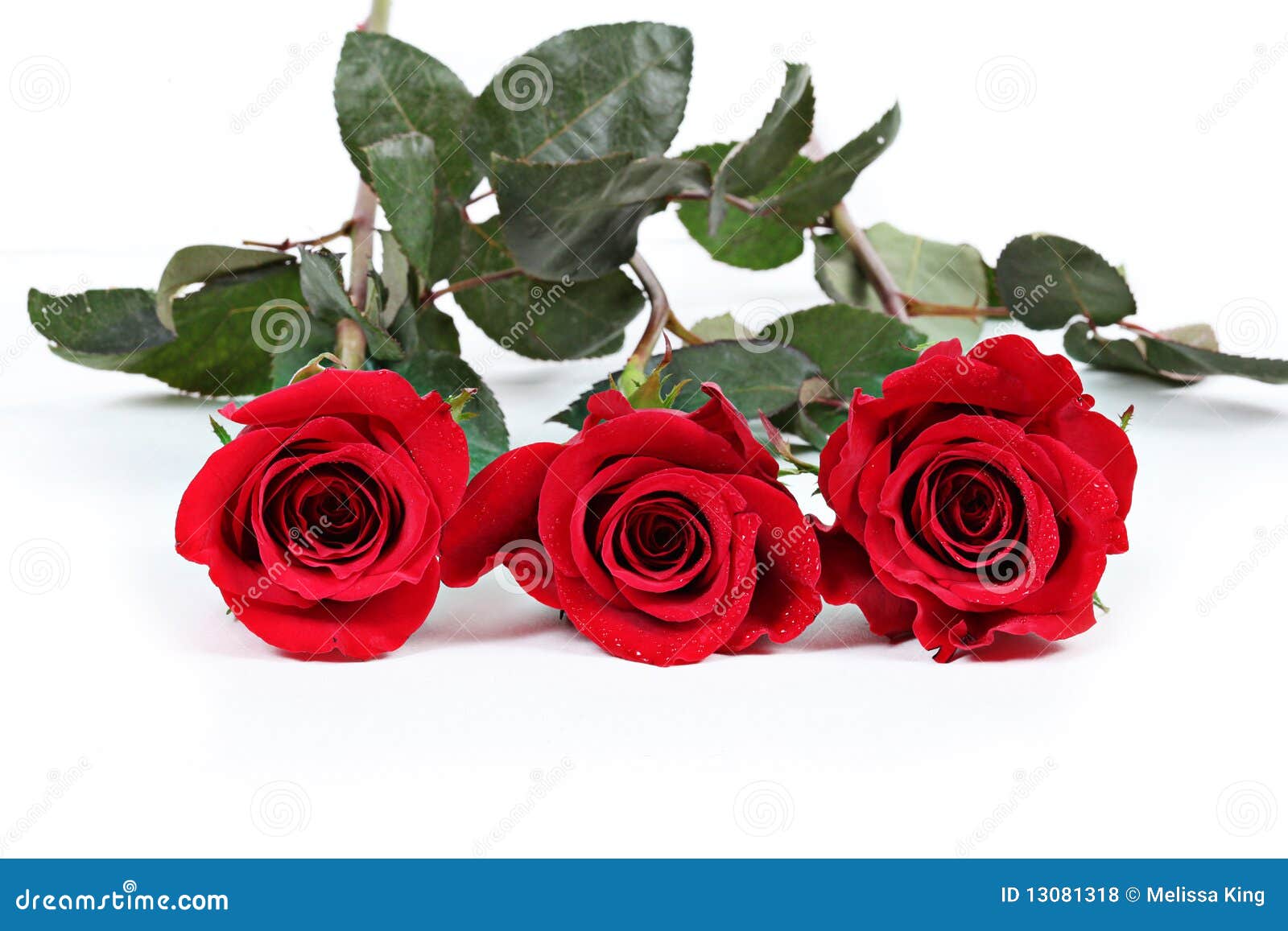 Trois roses rouges photo stock. Image du rouge, vert - 13081318