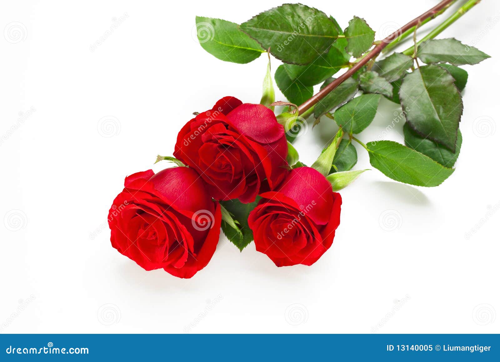 Trois roses rouges image stock. Image du enclenchement - 13140005