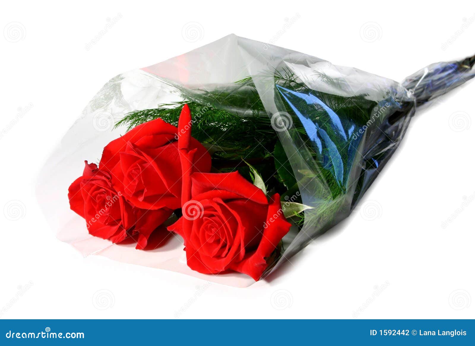Trois roses rouges photo stock. Image du blanc, lumineux - 1592442