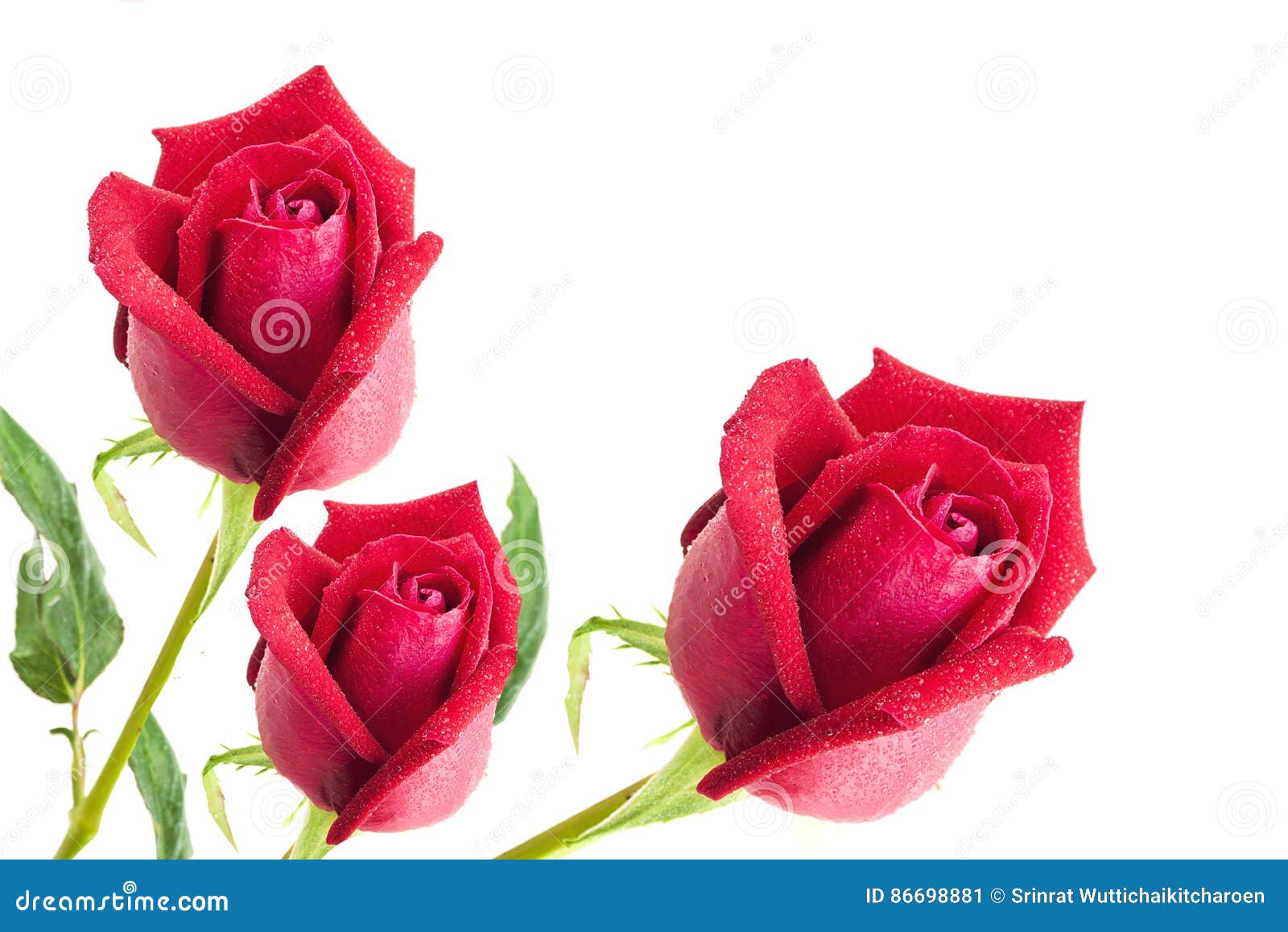 Trois roses rouges image stock. Image du roses, cadeau - 86698881