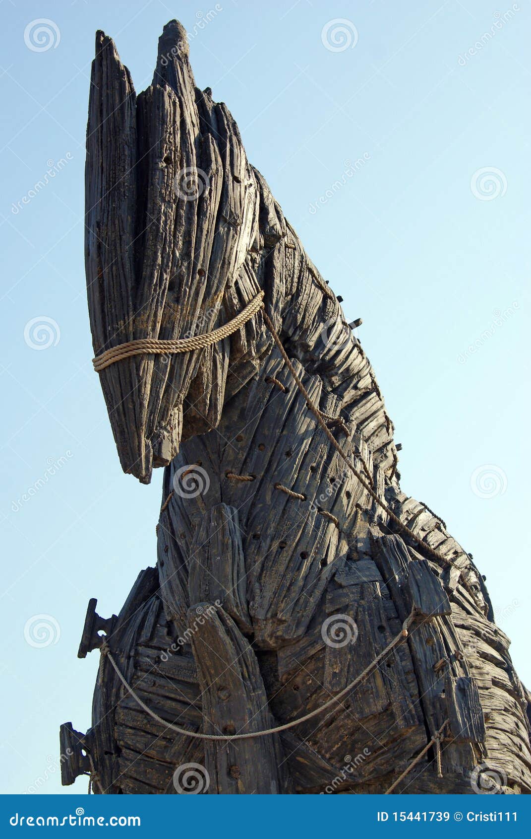 Trojan horse detailed stock image. Image of decisively - 15441739