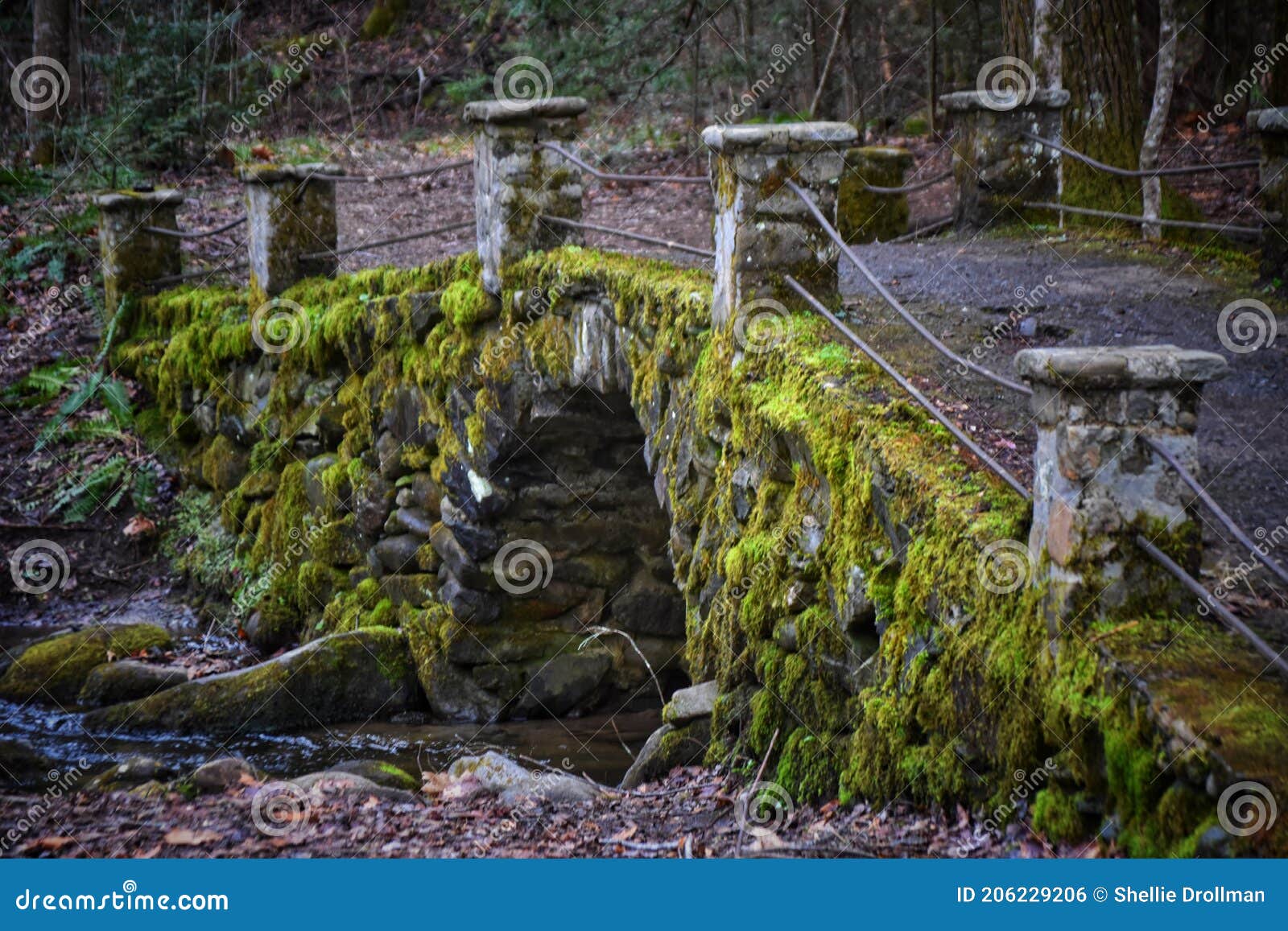 Troll bridge stock photo. Image of bridge, hike, mountain - 206229206