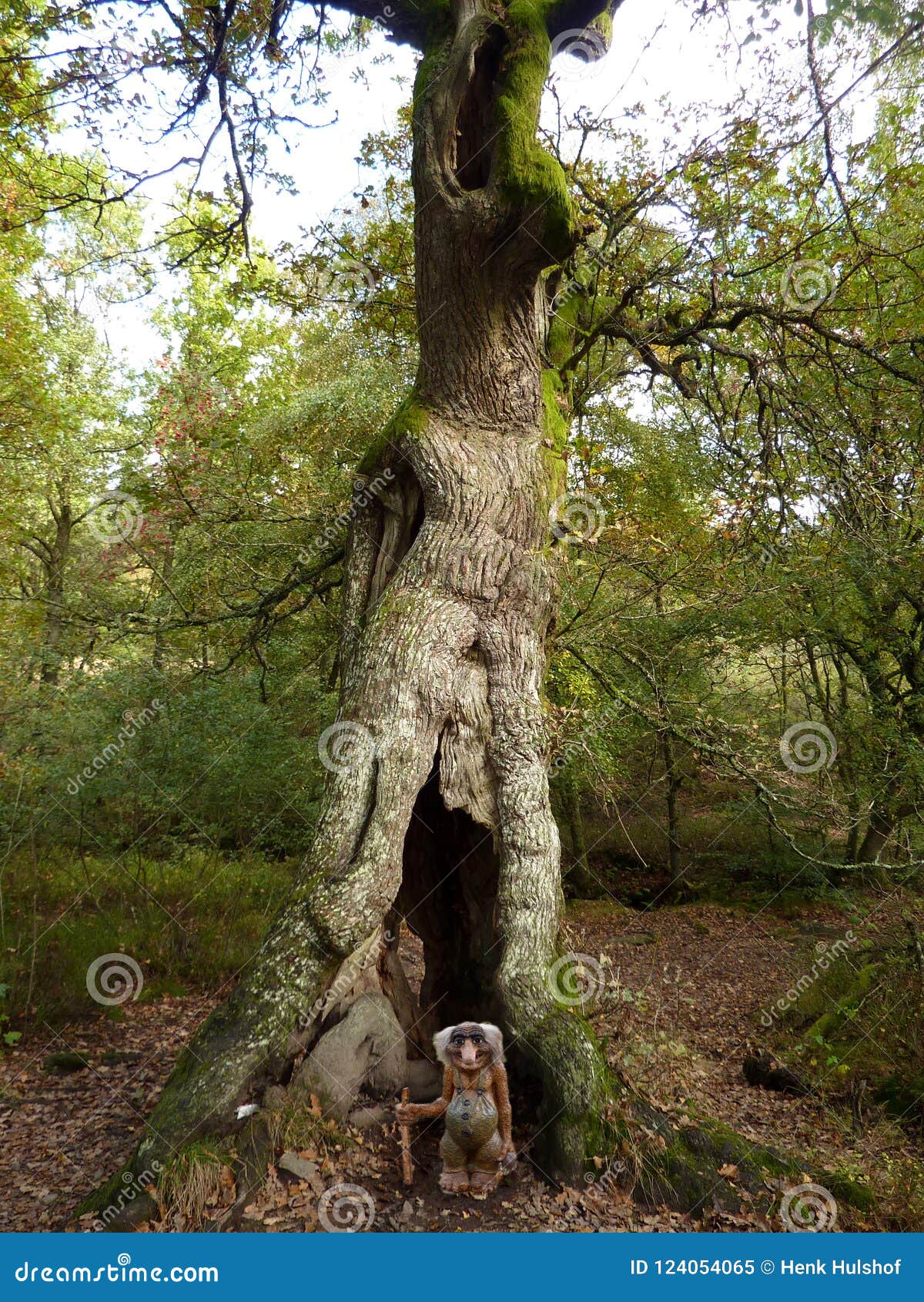 Troll Living in a Dead Tree Stock Image - Image of troll, brown: 124054065
