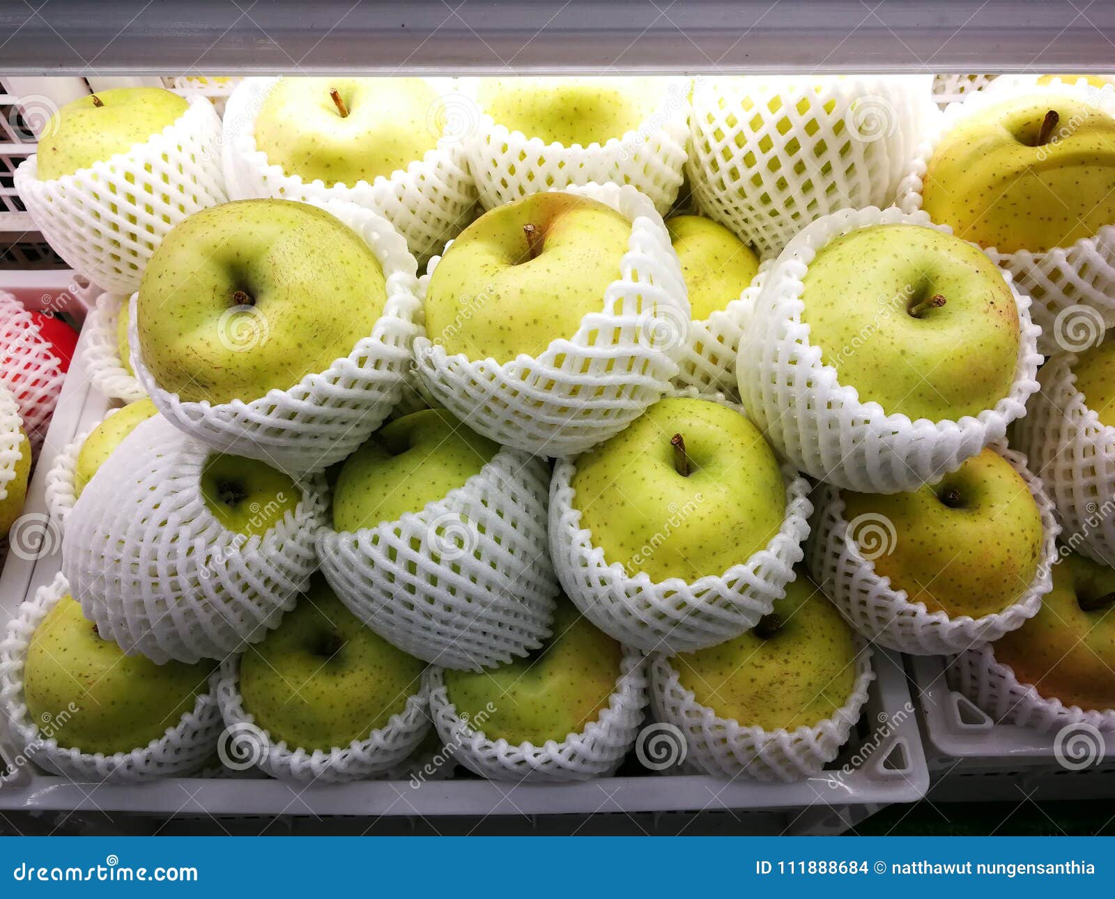 Trolley Green Barrow in the Basket Stock Photo - Image of agriculture ...