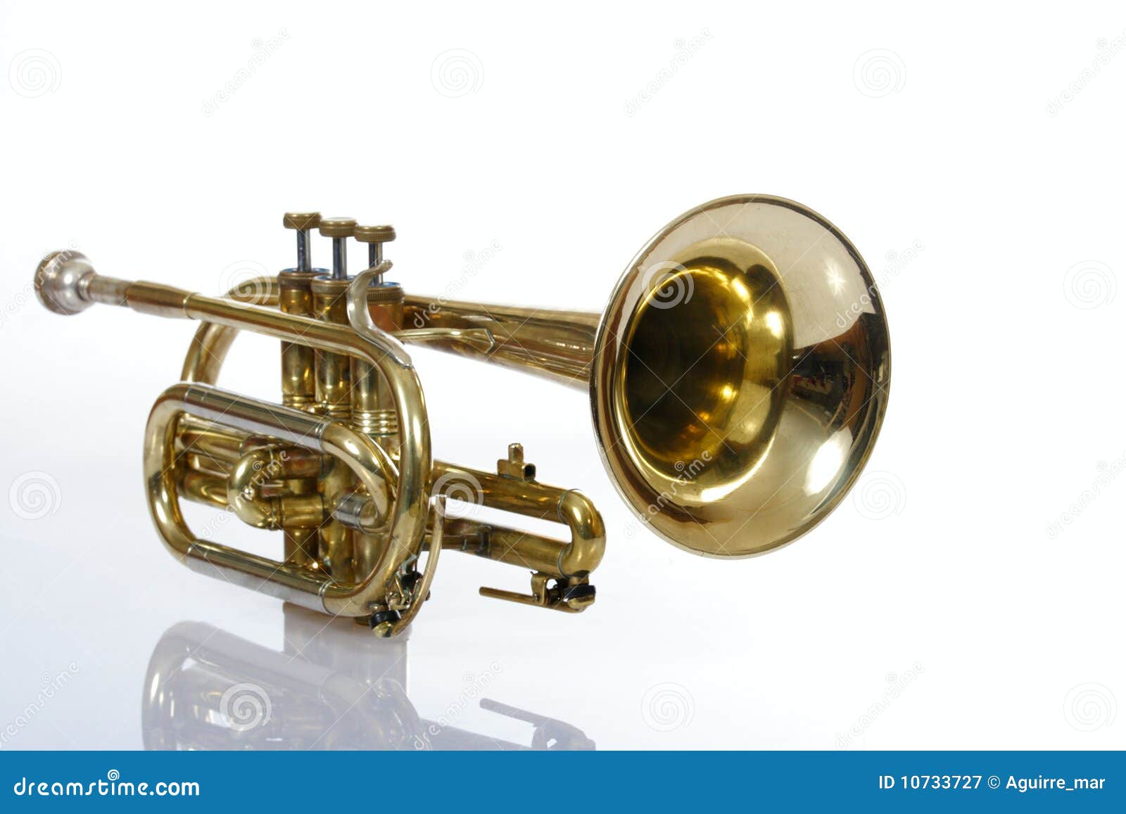 Tromba immagine stock. Immagine di flangia, vecchio, musicale - 10733727