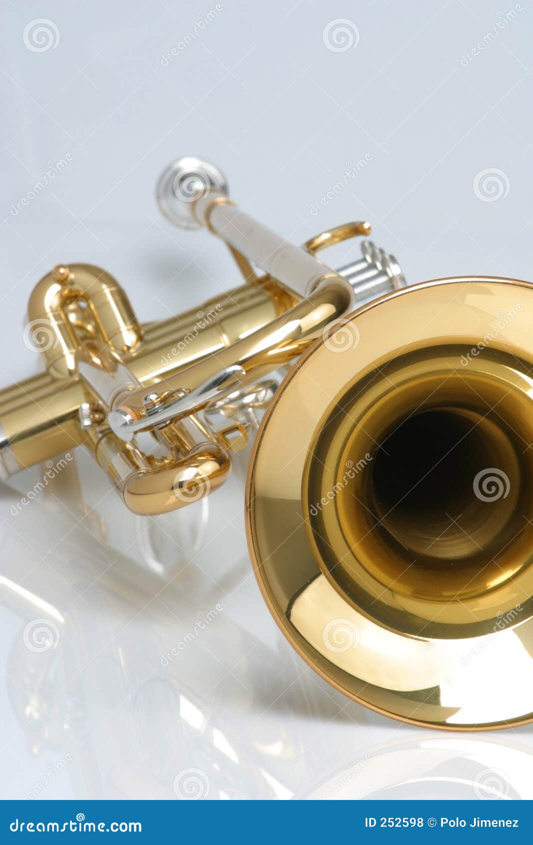 Tromba fotografia stock. Immagine di canzone, professione - 252598