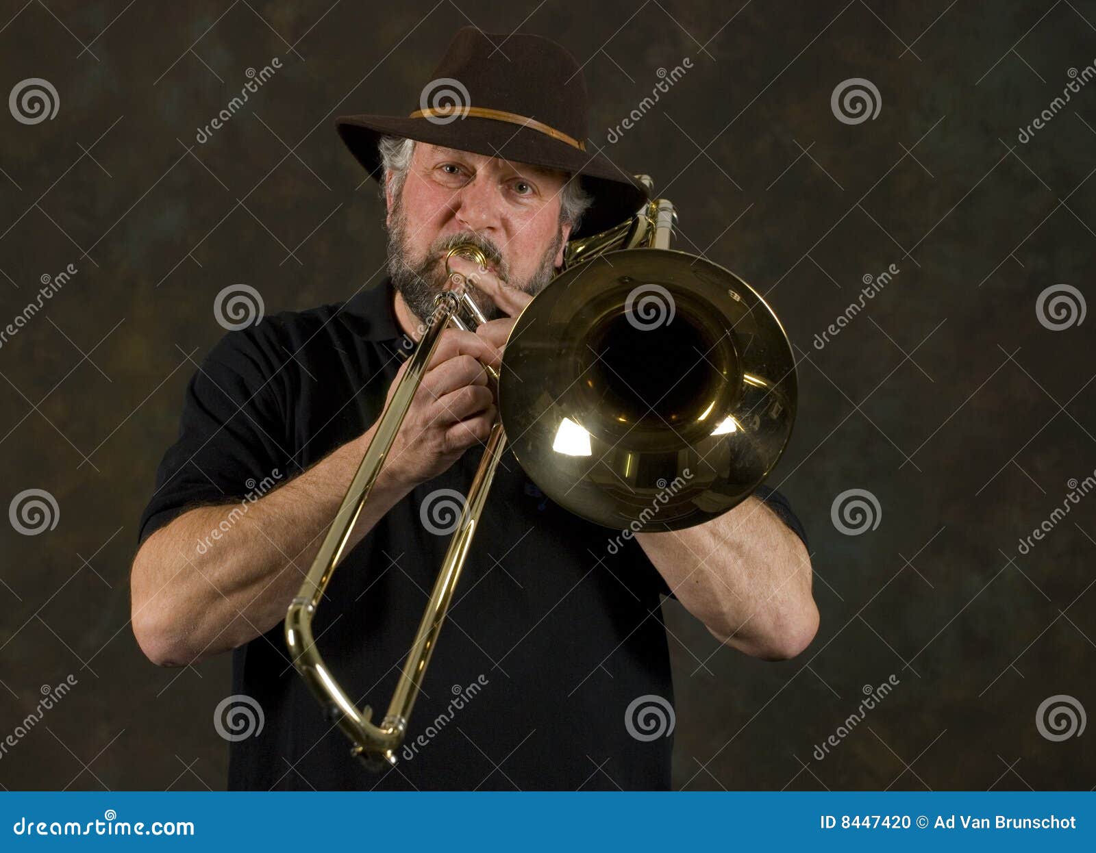 Trombone stock photo. Image of metal, instrument, trombone - 8447420