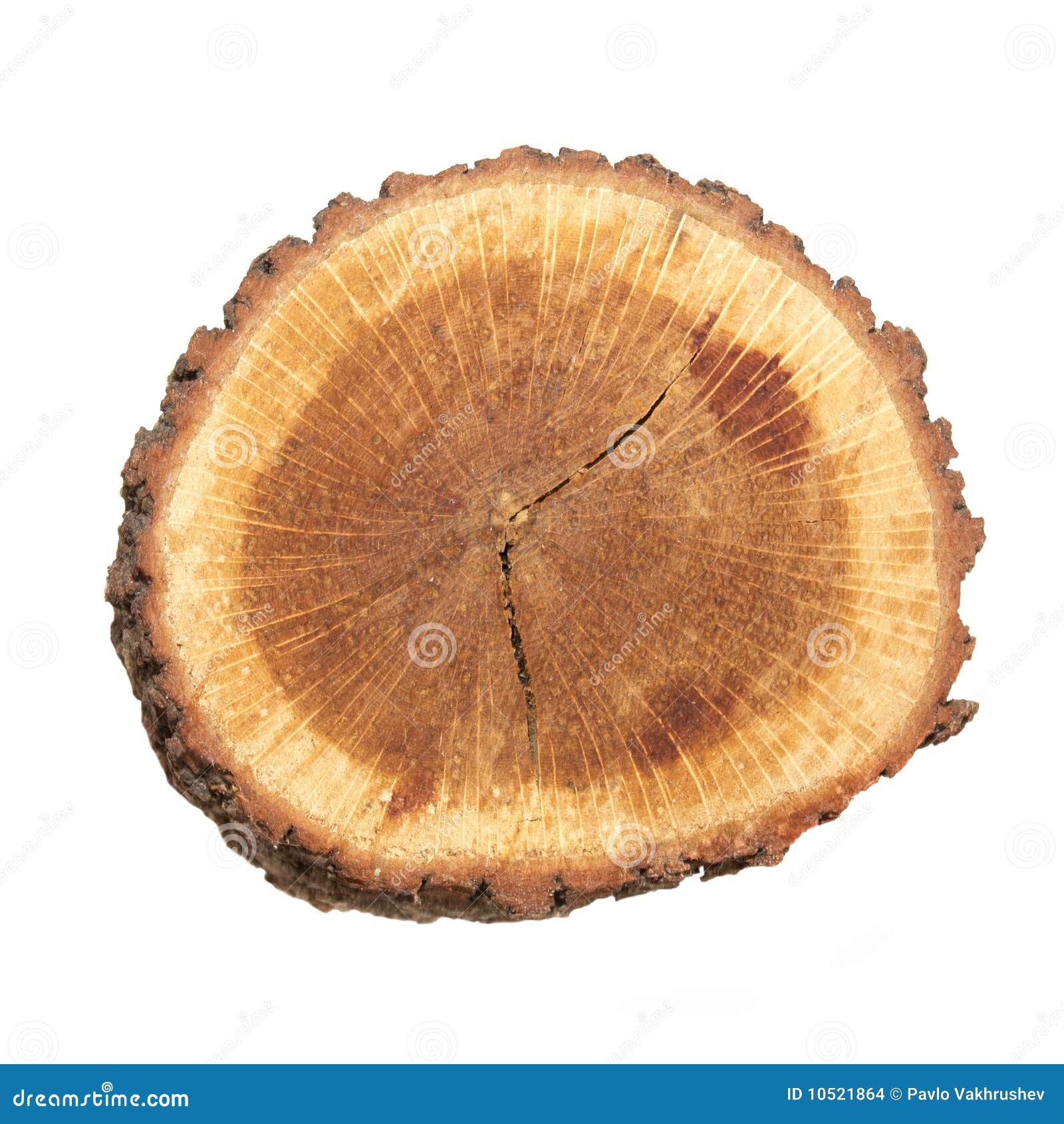 Tronçon en bois photo stock. Image du mort, écorce, couche - 10521864