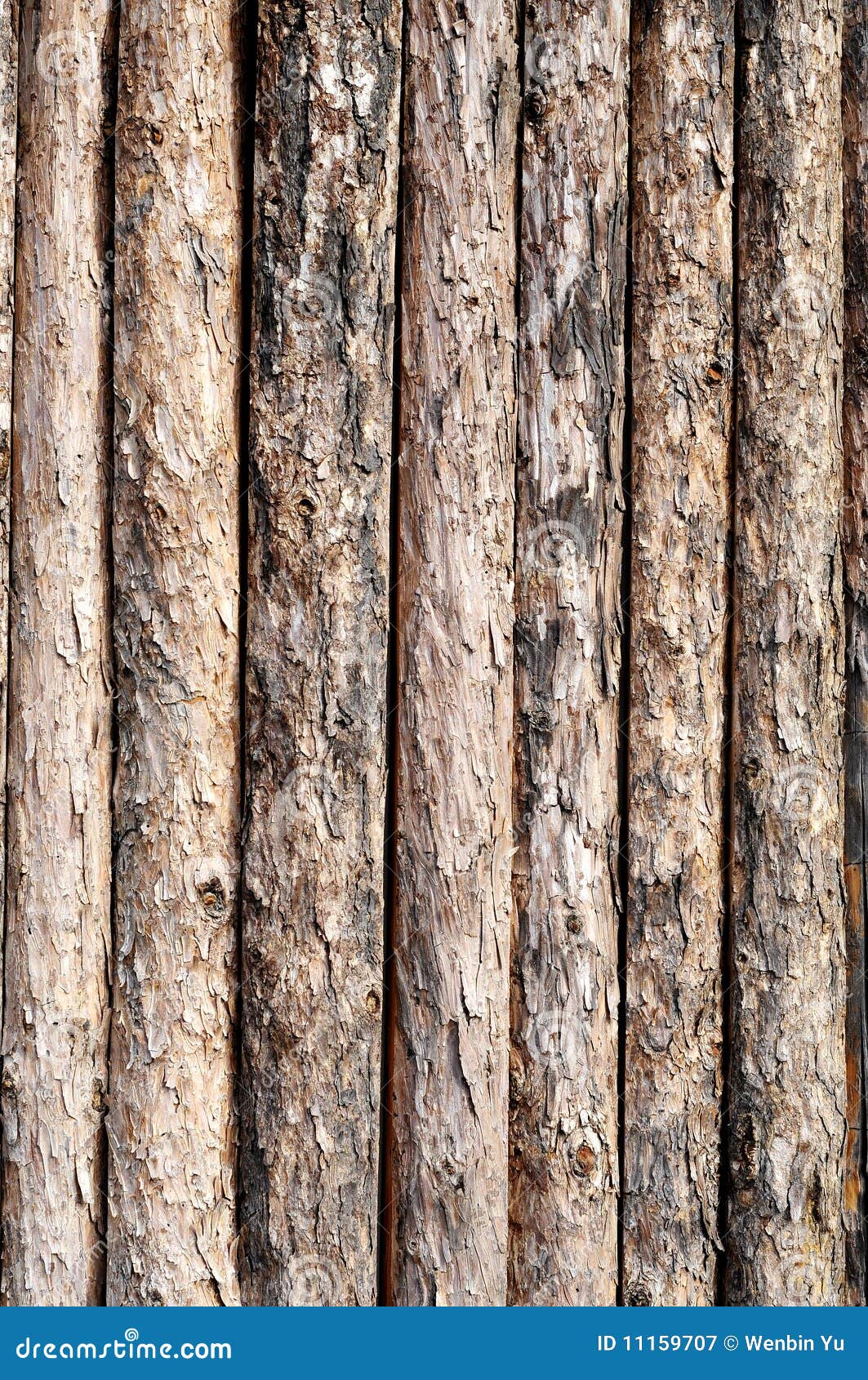 Tronco imagen de archivo. Imagen de arreglo, tronco, plantas - 11159707