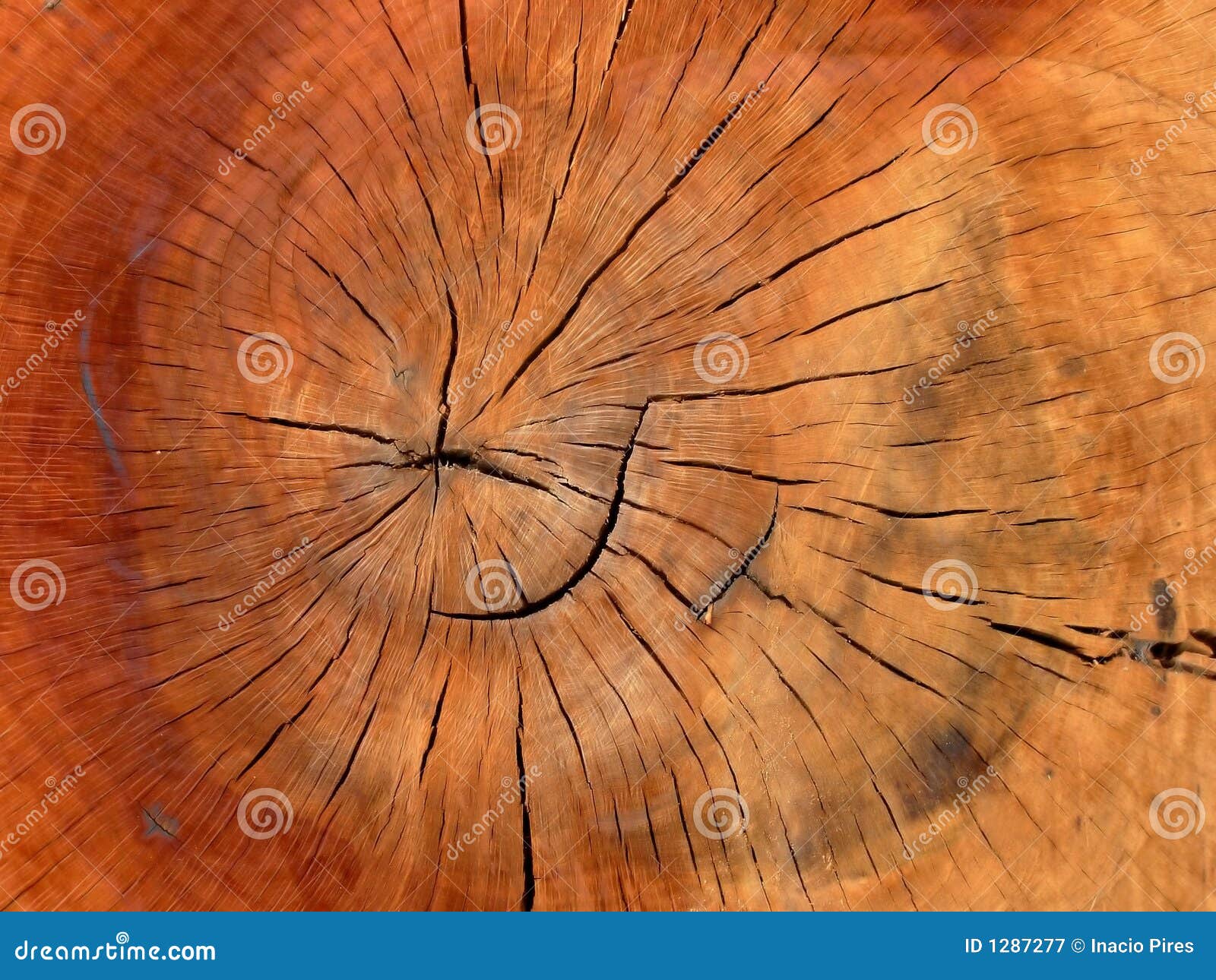 Tronco de madeira mim imagem de stock. Imagem de barraca - 1287277