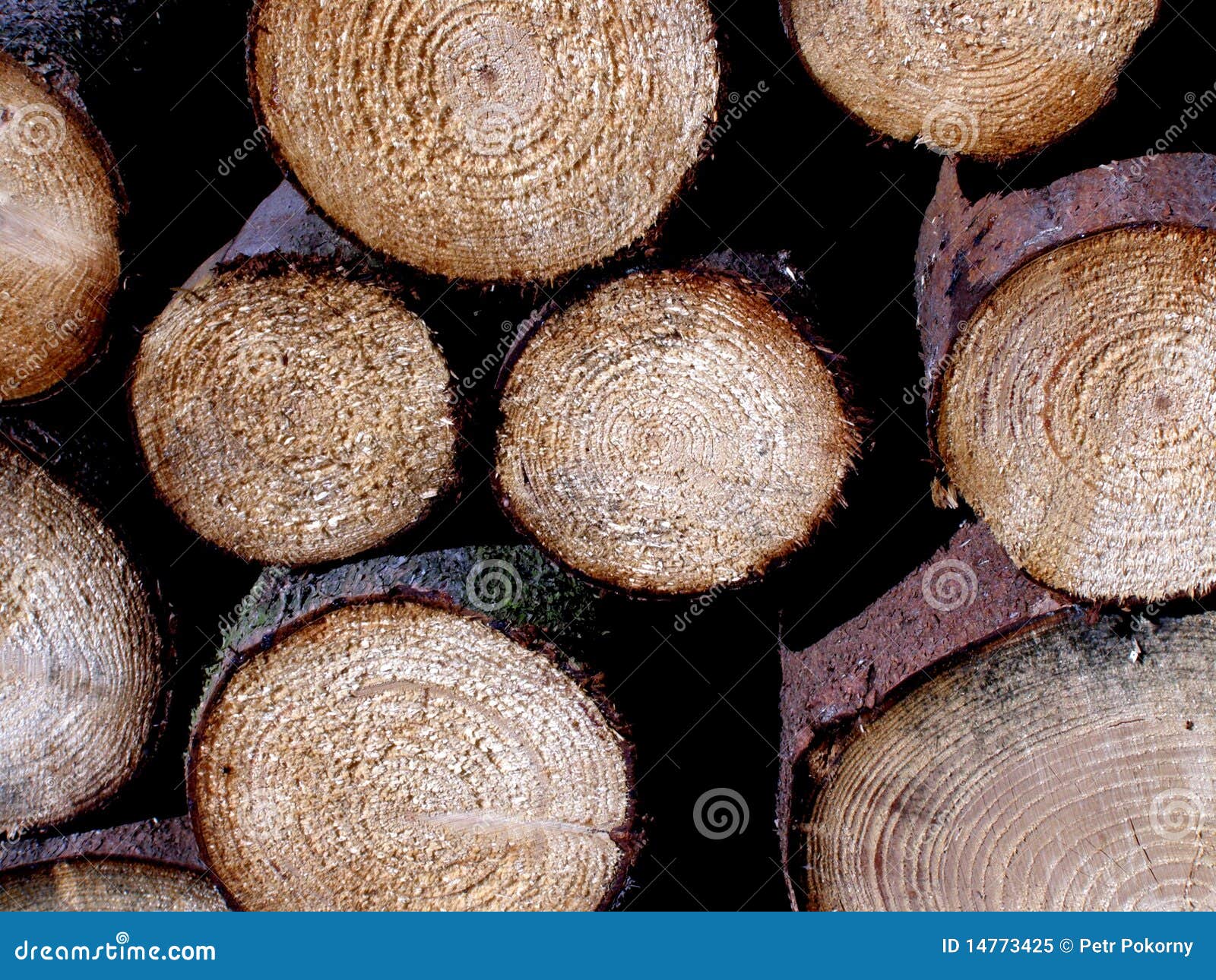 Troncos de madeira imagem de stock. Imagem de nave, charming - 14773425