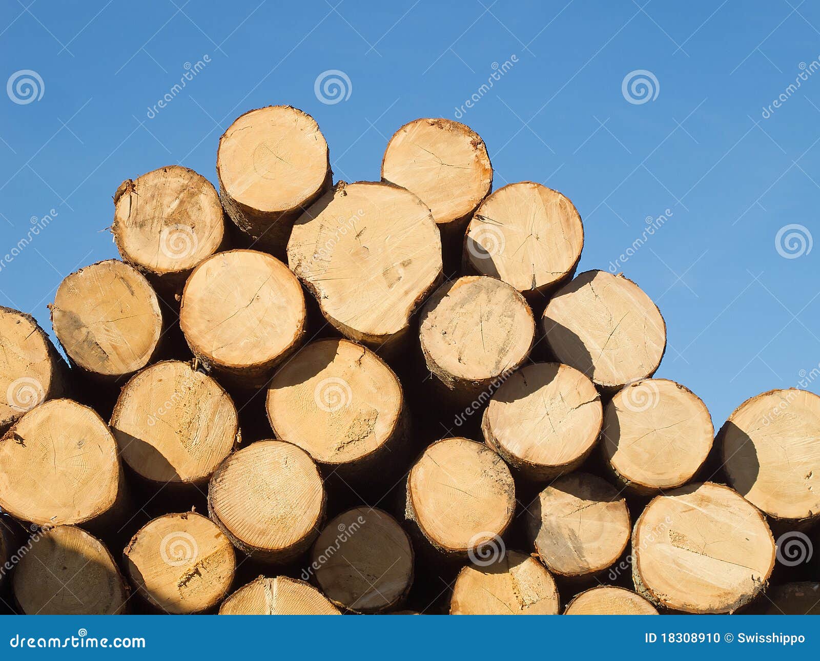 Troncos de madeira frescos foto de stock. Imagem de jarda - 18308910