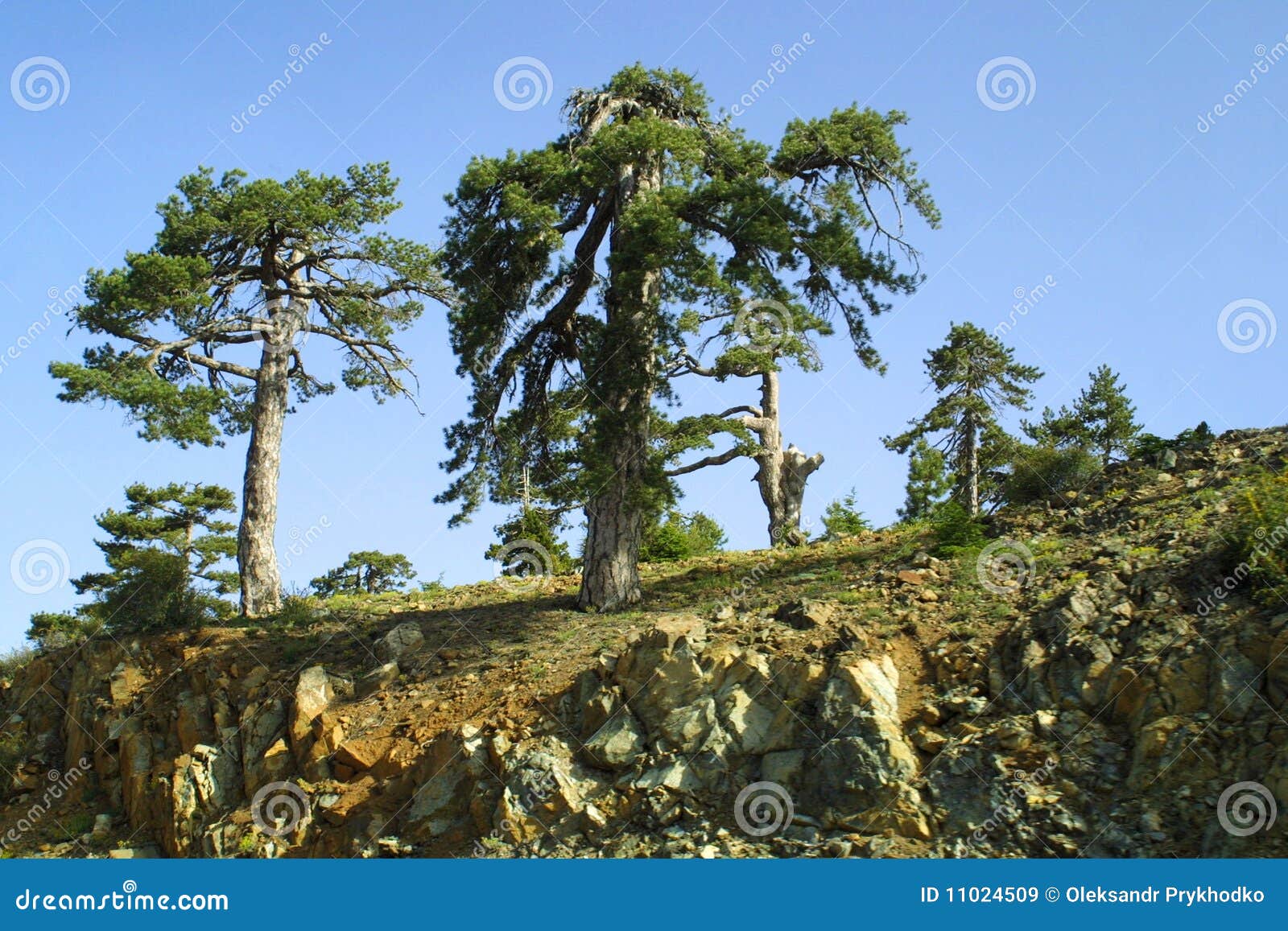 The Troodos Mountains stock image. Image of tourism, travel - 11024509
