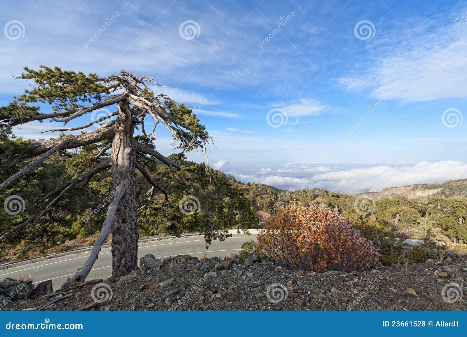 Troodos Mountains, Cyprus stock photo. Image of scenics - 23661528