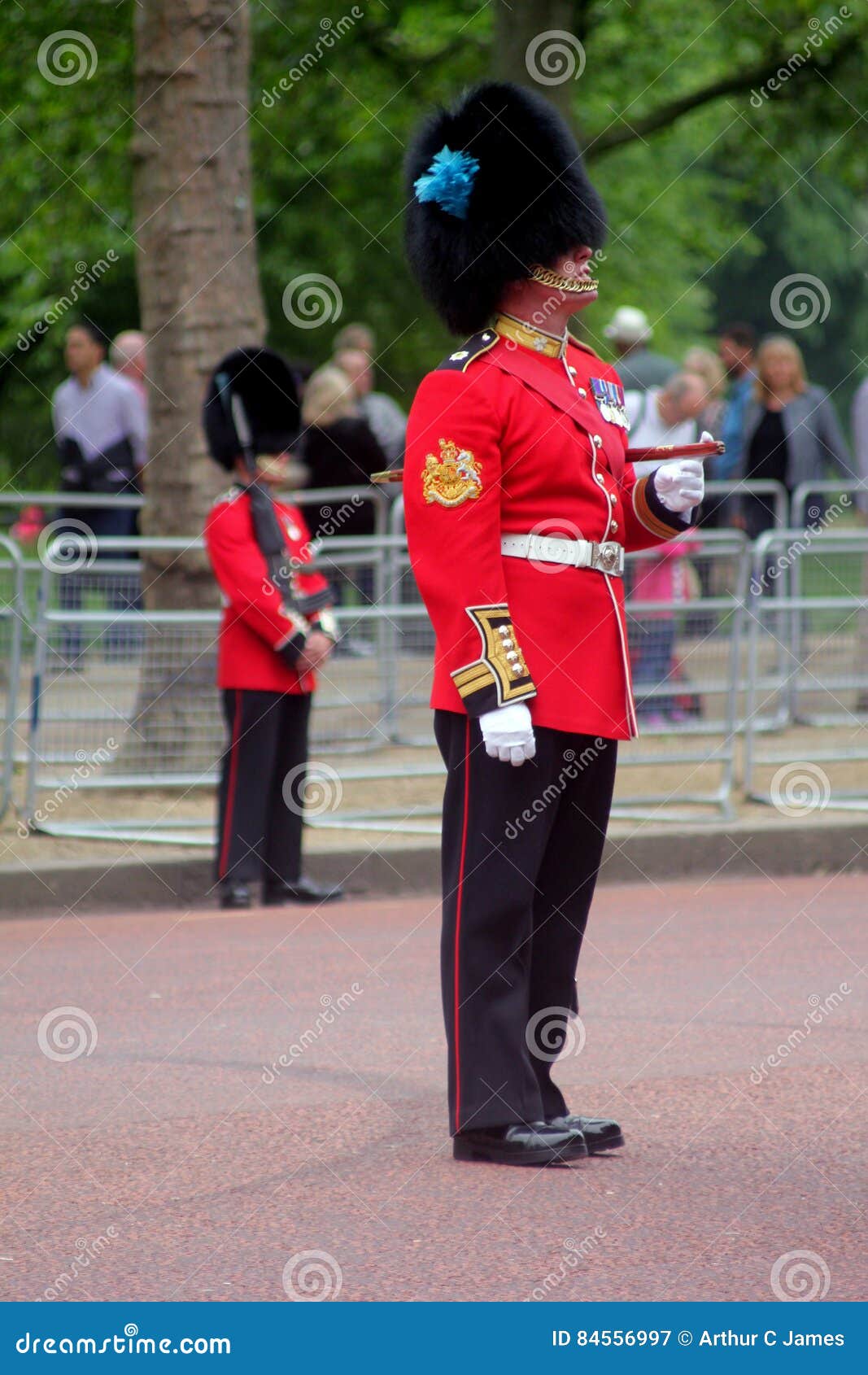 Trooping Of The Colour Editorial Photo | CartoonDealer.com #84556997