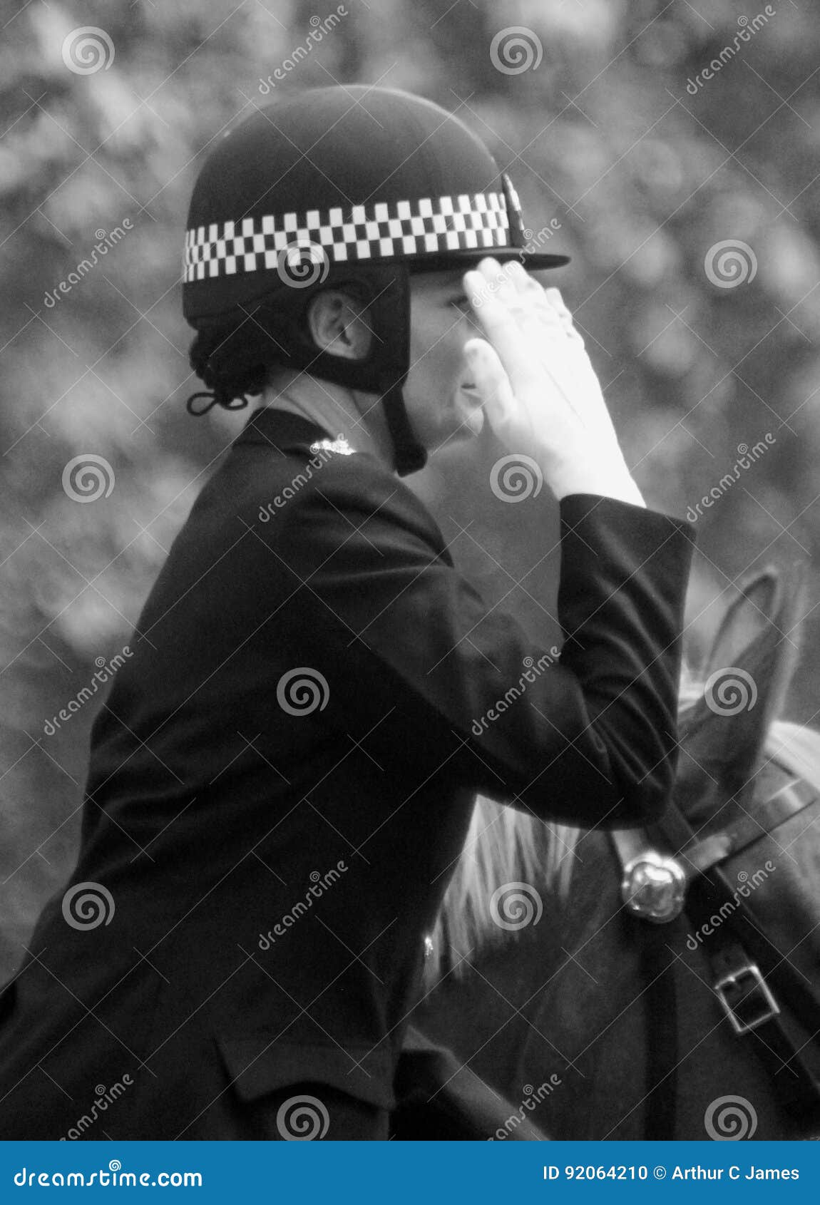 Trooping Of The Colour Editorial Image | CartoonDealer.com #92064210