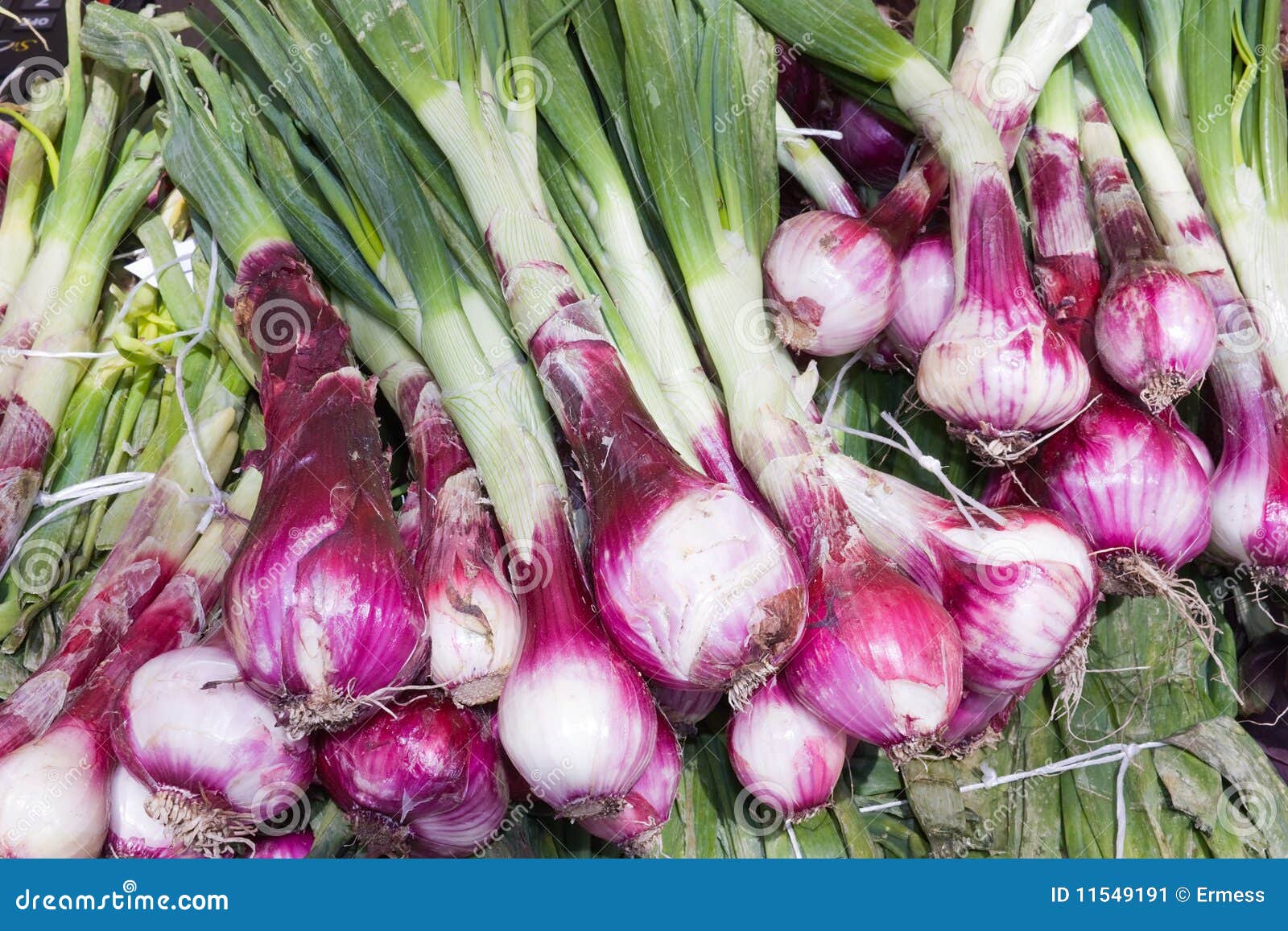 Tropea onions stock image. Image of italy, eating, breath - 11549191