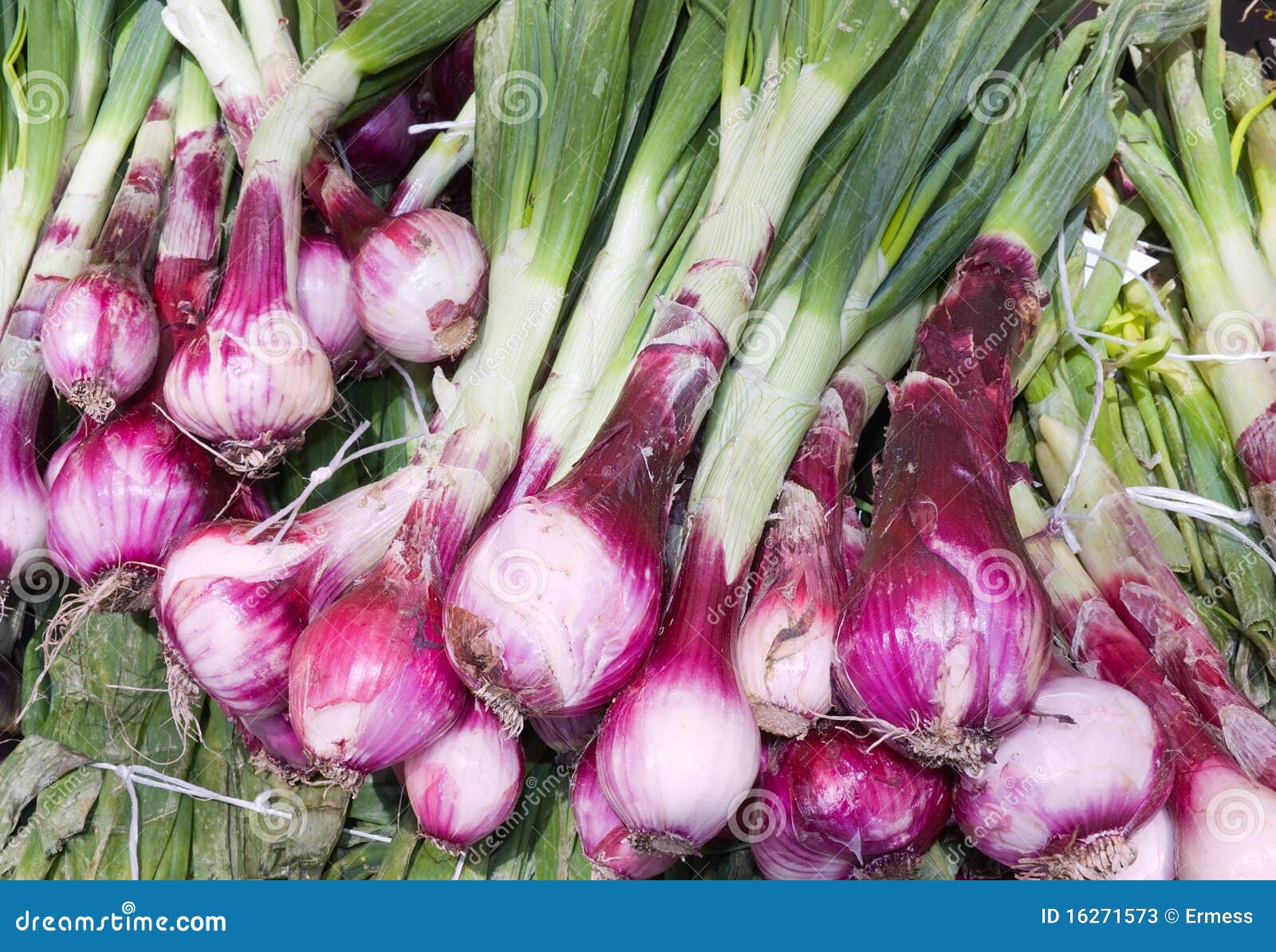 Tropea onions stock image. Image of agriculture, natural - 16271573