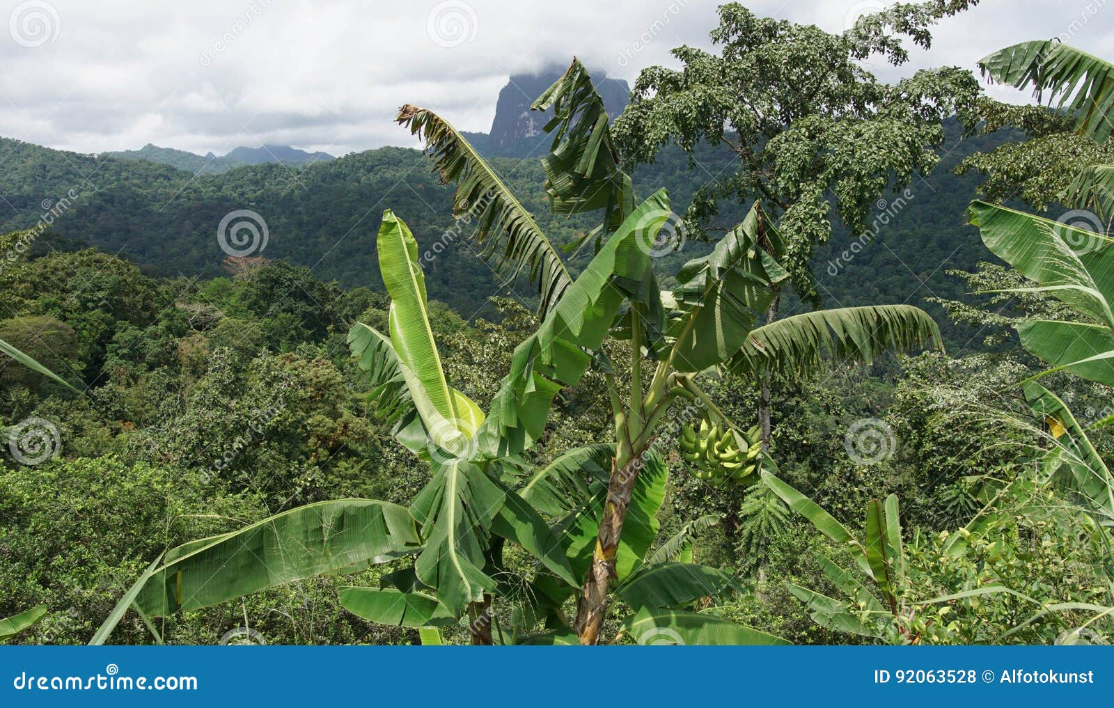 Tropen, Sao Tome, Afrika stockfoto. Bild von regen, afrika - 92063528