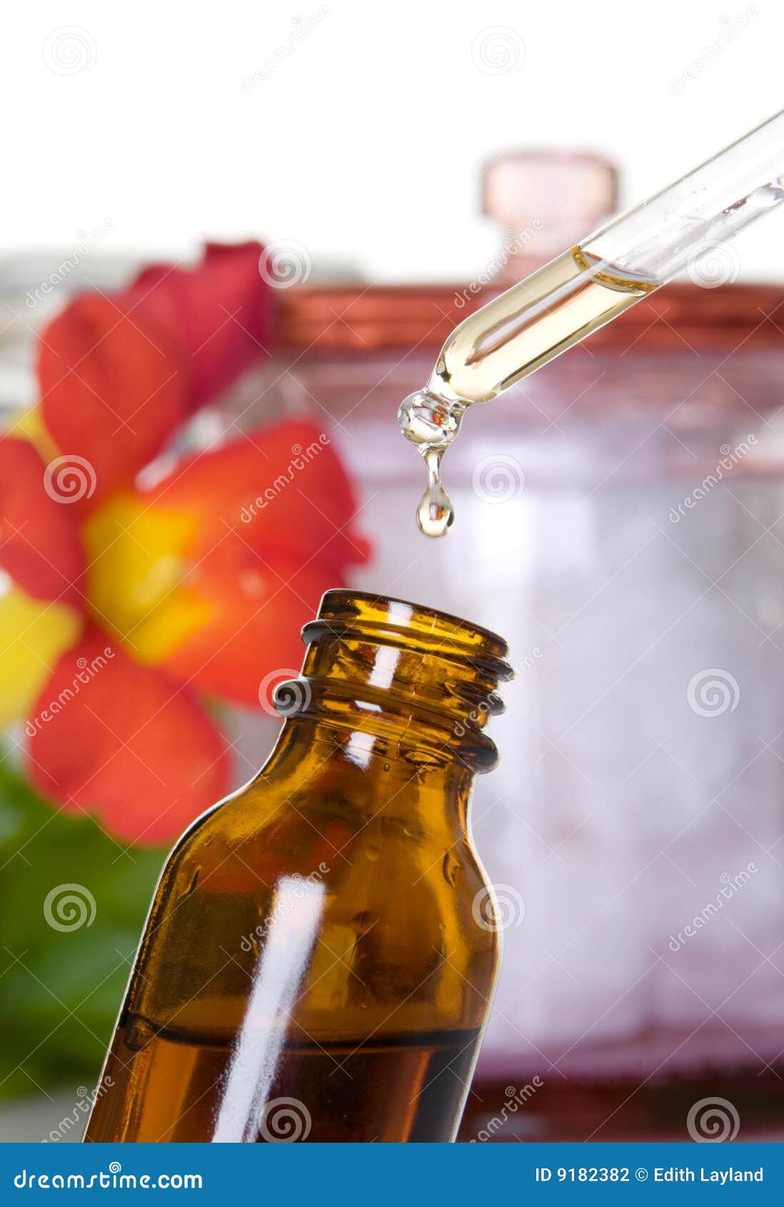 Tropfen stockfoto. Bild von schönheit, botanisch, gesundheit - 9182382