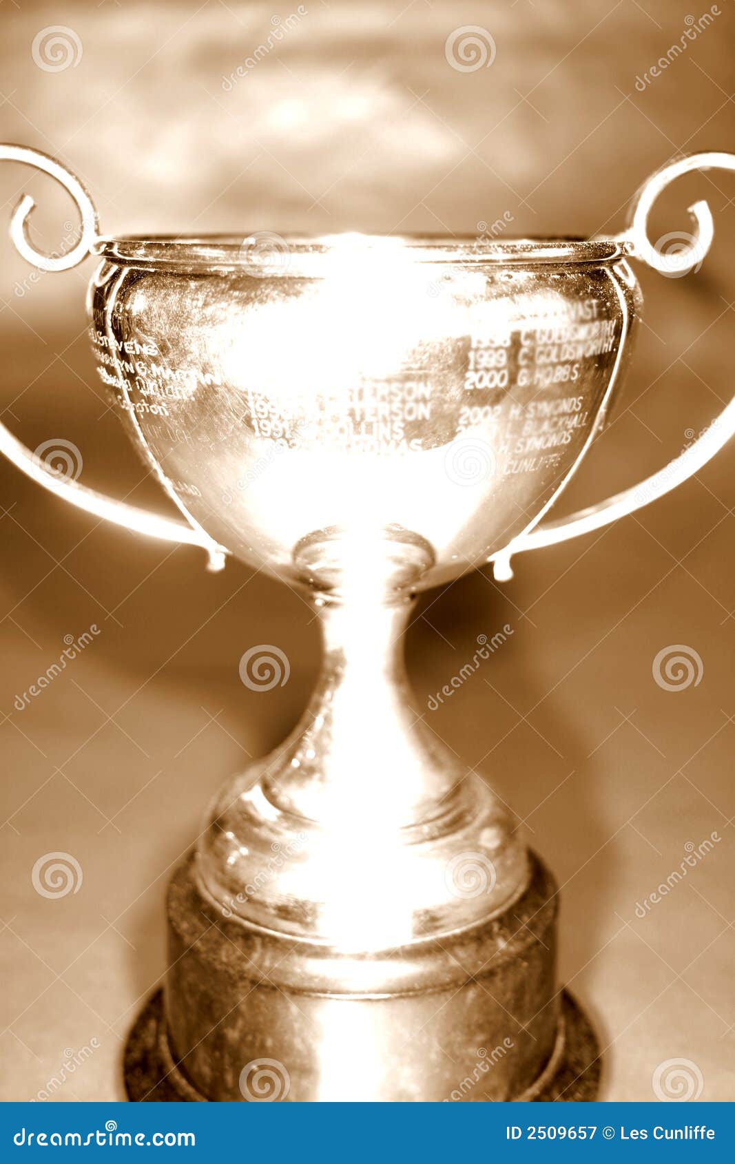 Trophy stock image. Image of grant, distinction, accomplishment - 2509657