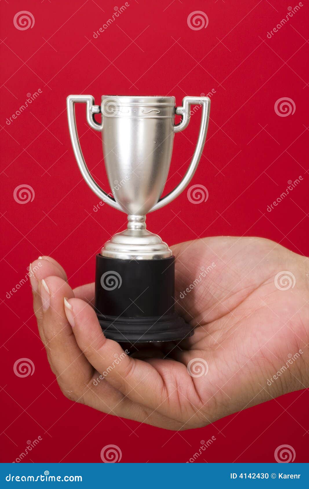 Trophy stock photo. Image of dedication, leadership, champion - 4142430