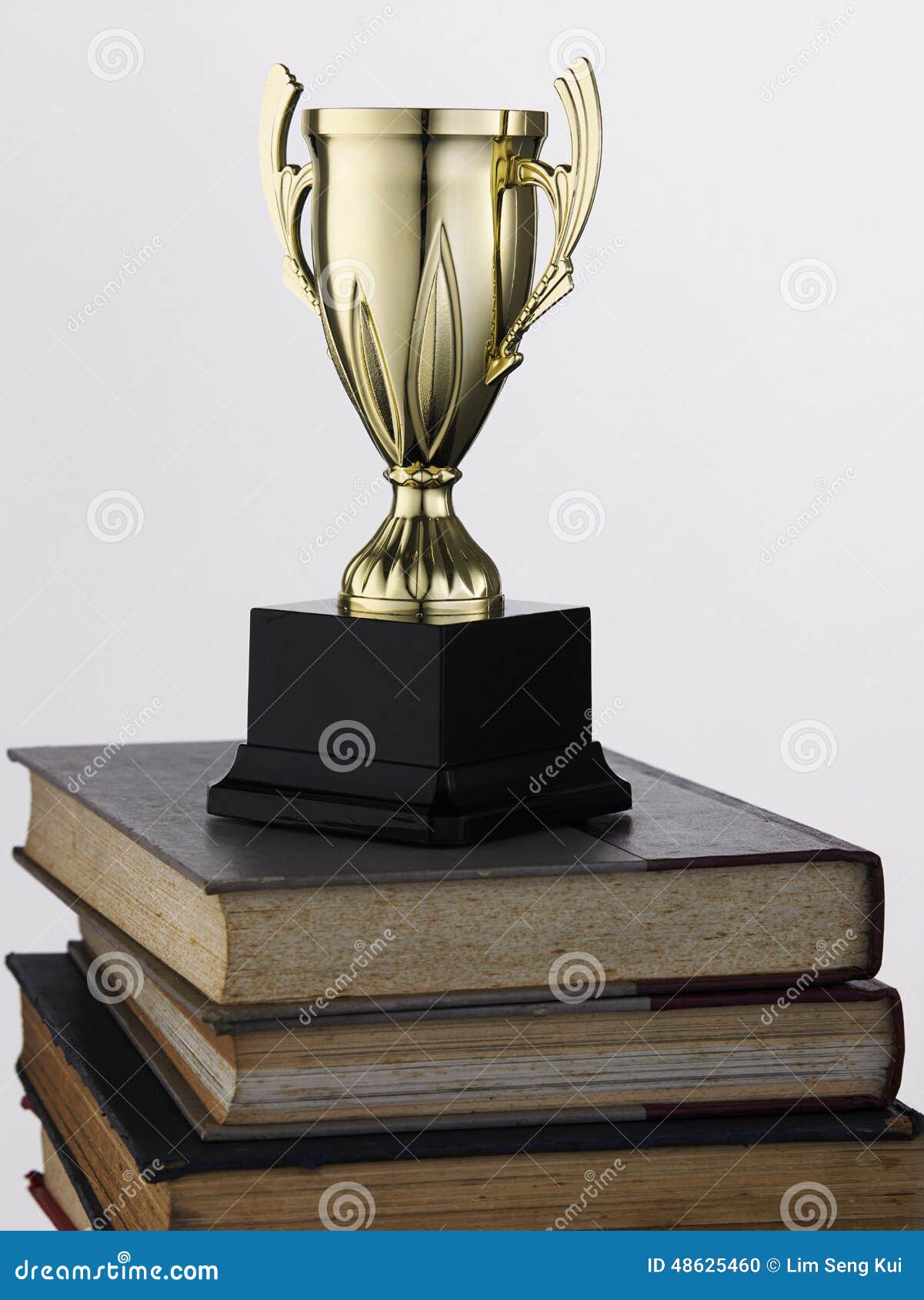 Trophy on the book stock photo. Image of honor, competition - 48625460