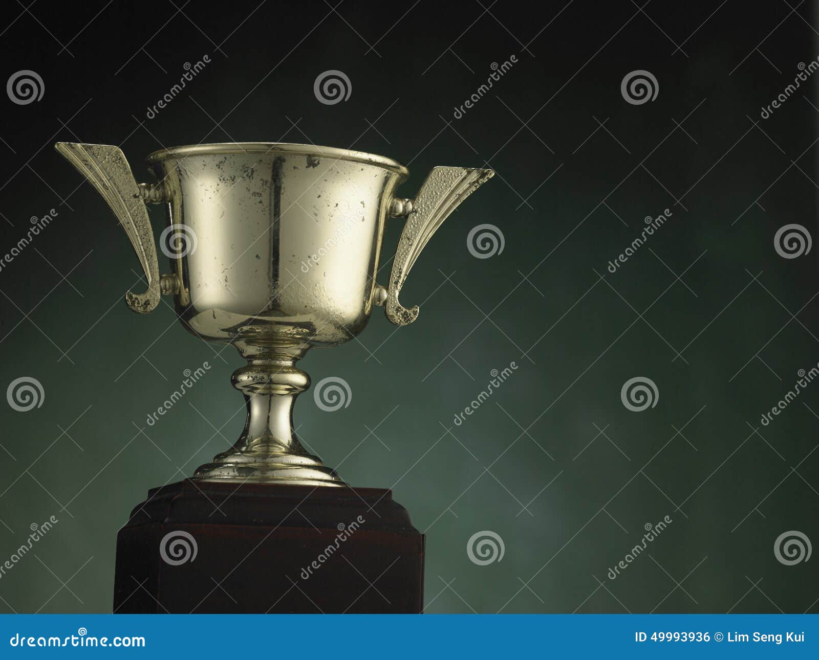 Trophy stock photo. Image of golden, leadership, effort - 49993936