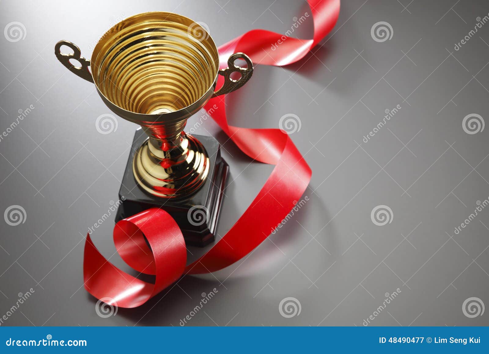 Trophy stock image. Image of place, prize, metal, achievement - 48490477