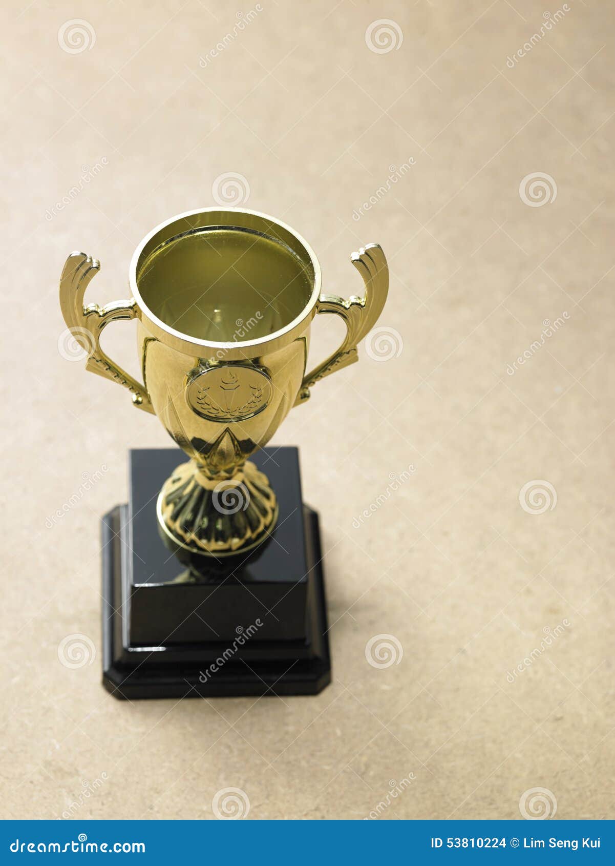 Trophy stock photo. Image of prize, sport, leadership - 53810224