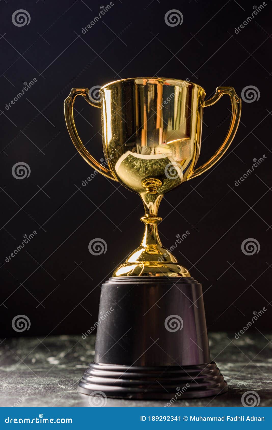 Trophy replica isolated stock image. Image of honor - 189292341