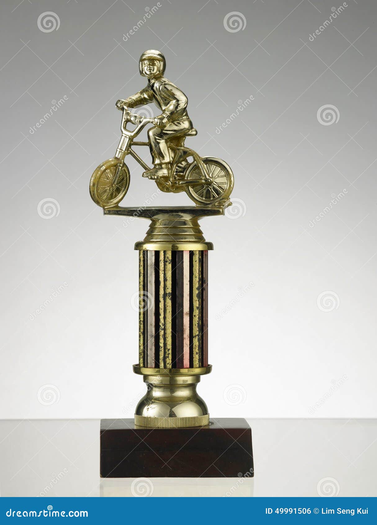 Trophy stock photo. Image of trophy, celebration, sport - 49991506