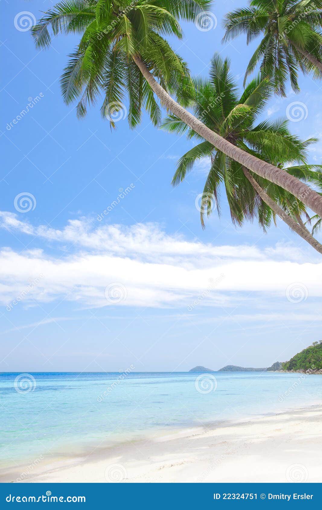 Tropic stock image. Image of journey, leaf, nature, resort - 22324751