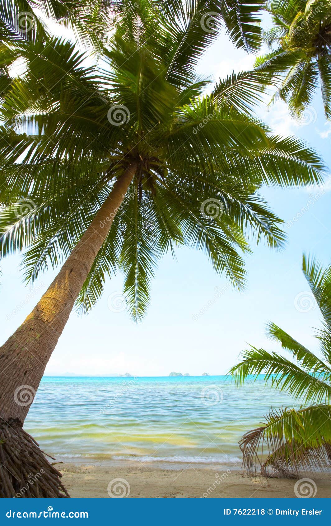 Tropic stock photo. Image of enjoy, azure, rest, nature - 7622218