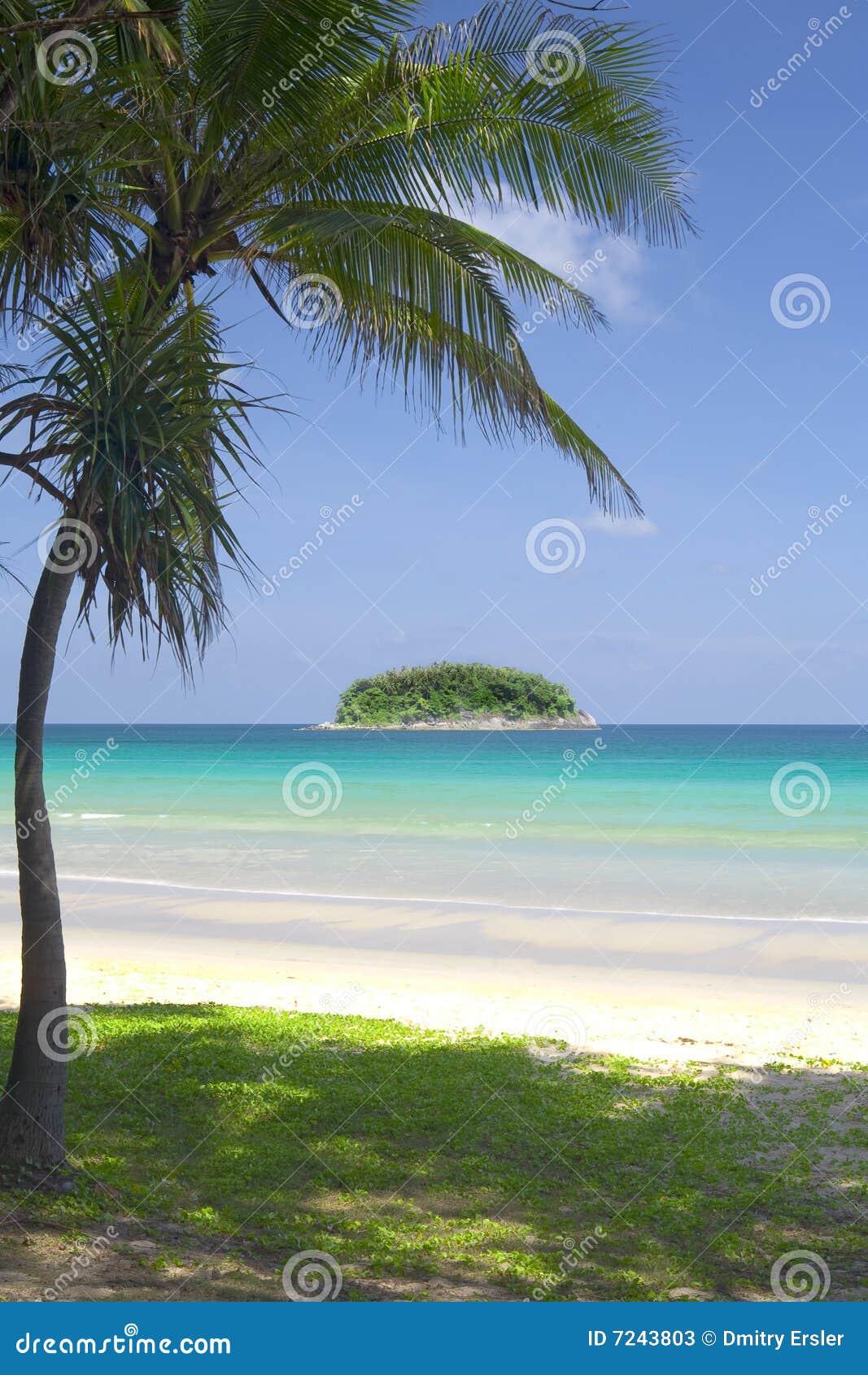 Tropic bay stock image. Image of leaf, azure, plant, holiday - 7243803