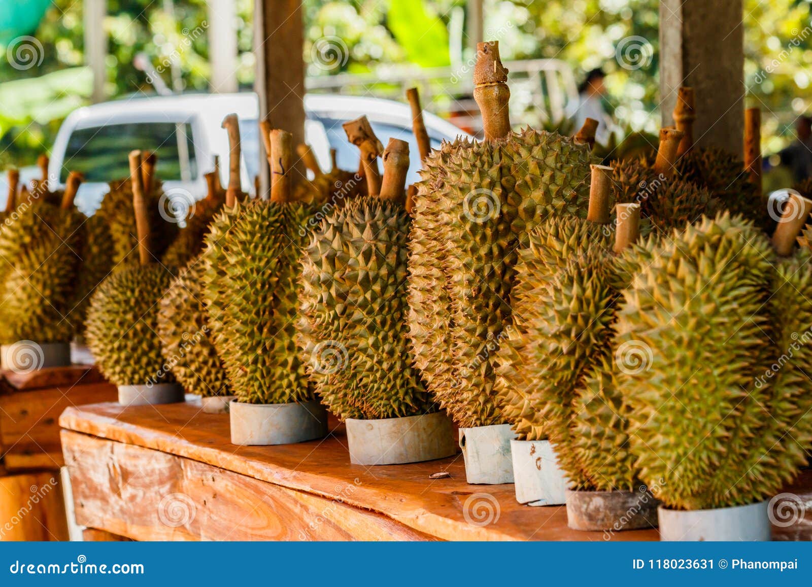 Tropic Fruit Durian on Market Table. Stock Image - Image of appetite ...